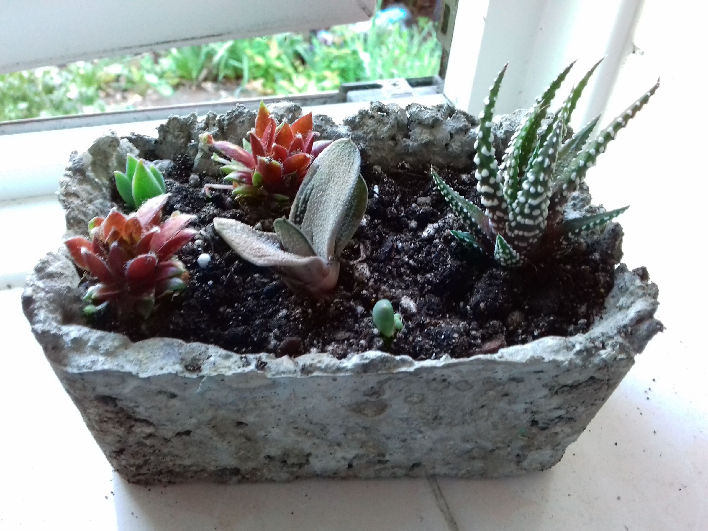 Earth-friendly Creating With Papercrete : 6 Steps (with Pictures ...