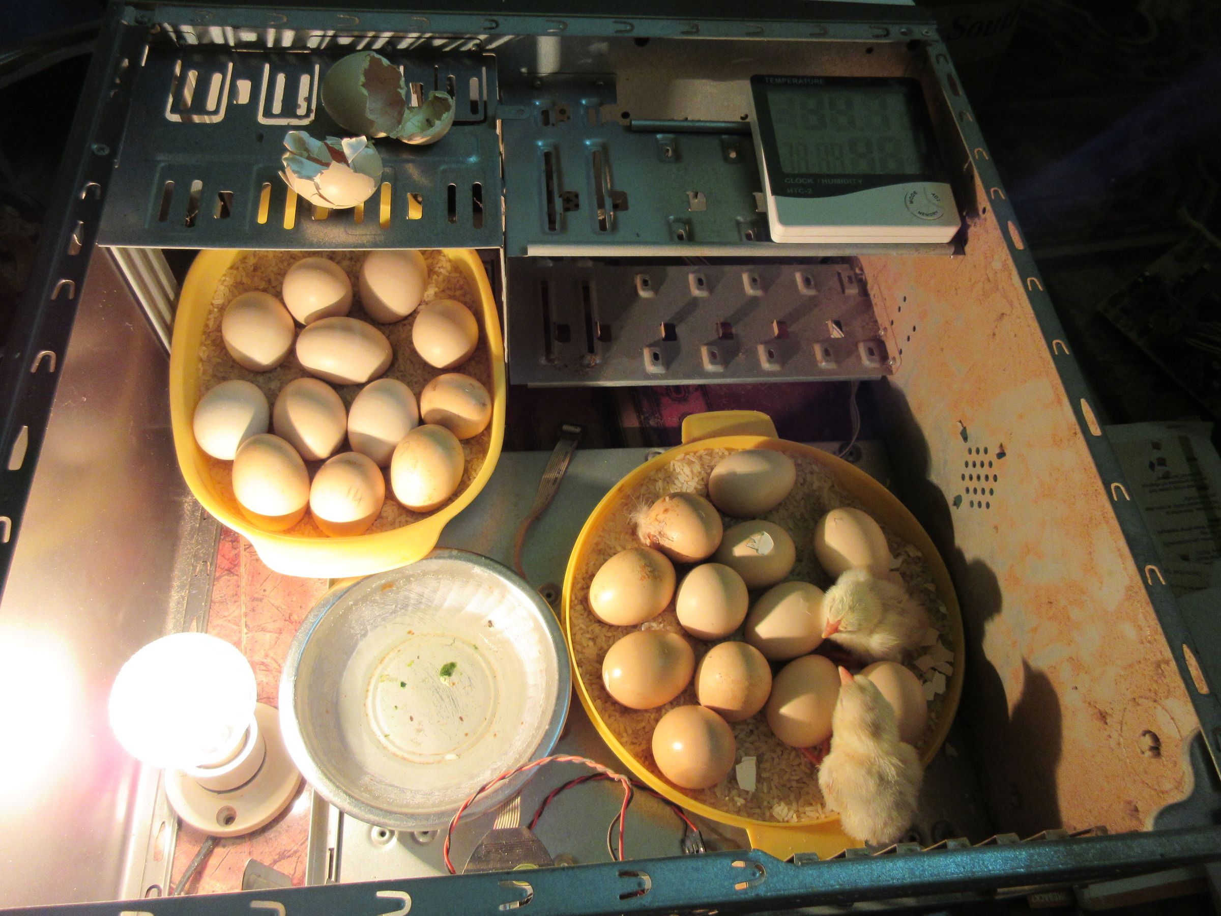 Home-made Incubator From Reclaimed Desktop Computer Case : 8 Steps ...