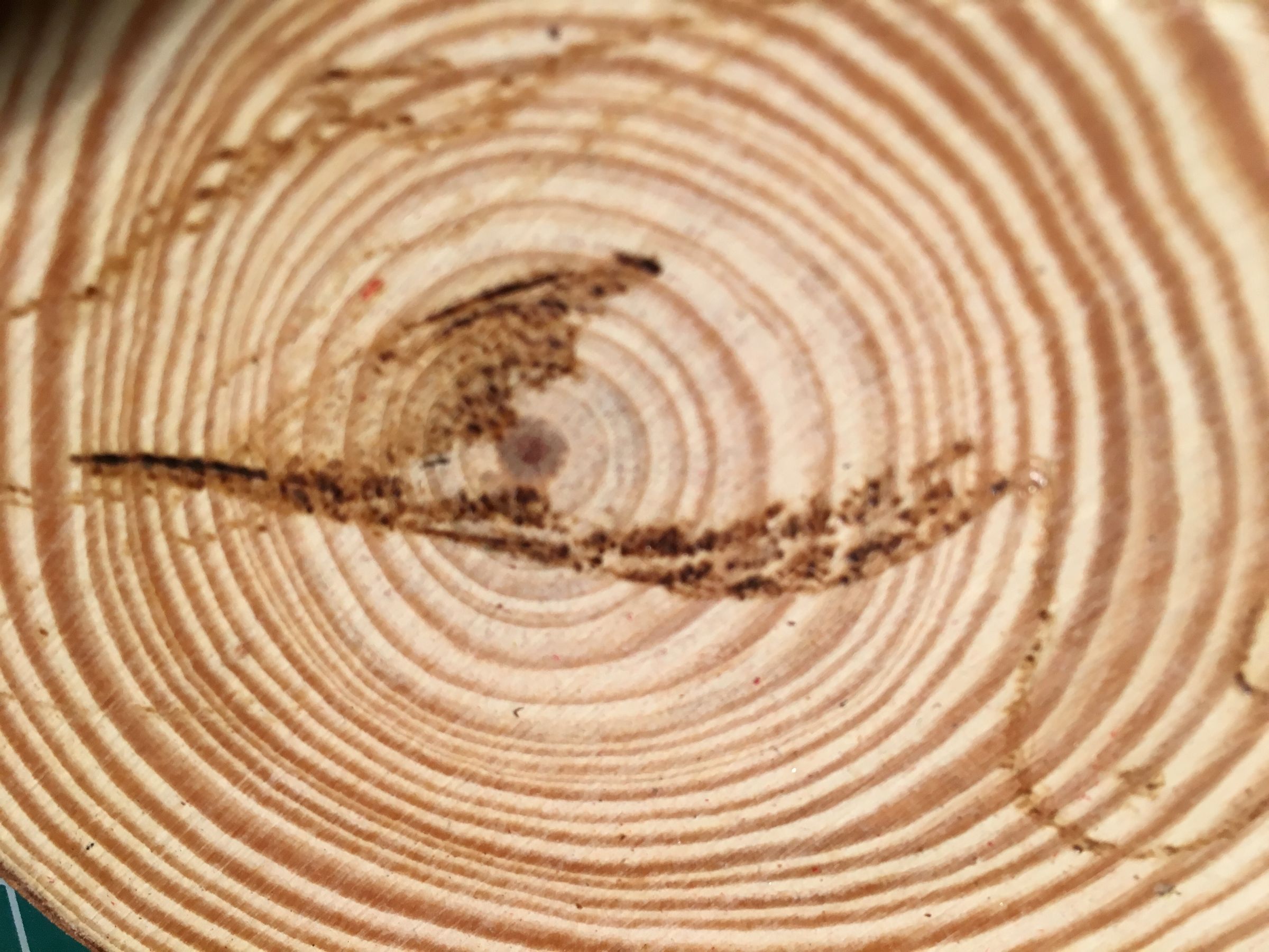 Pyrography Coasters Using a Soldering Iron : 7 Steps (with Pictures ...