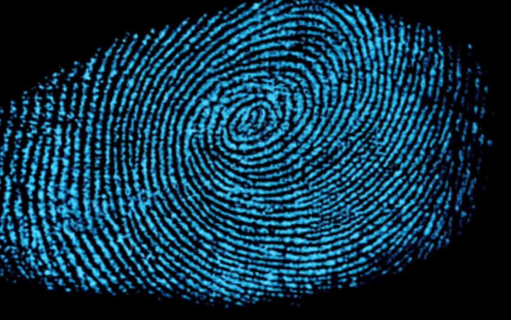 How to Lift Fingerprints: Cyanoacrylate (Super Glue) Fuming : 6 Steps ...