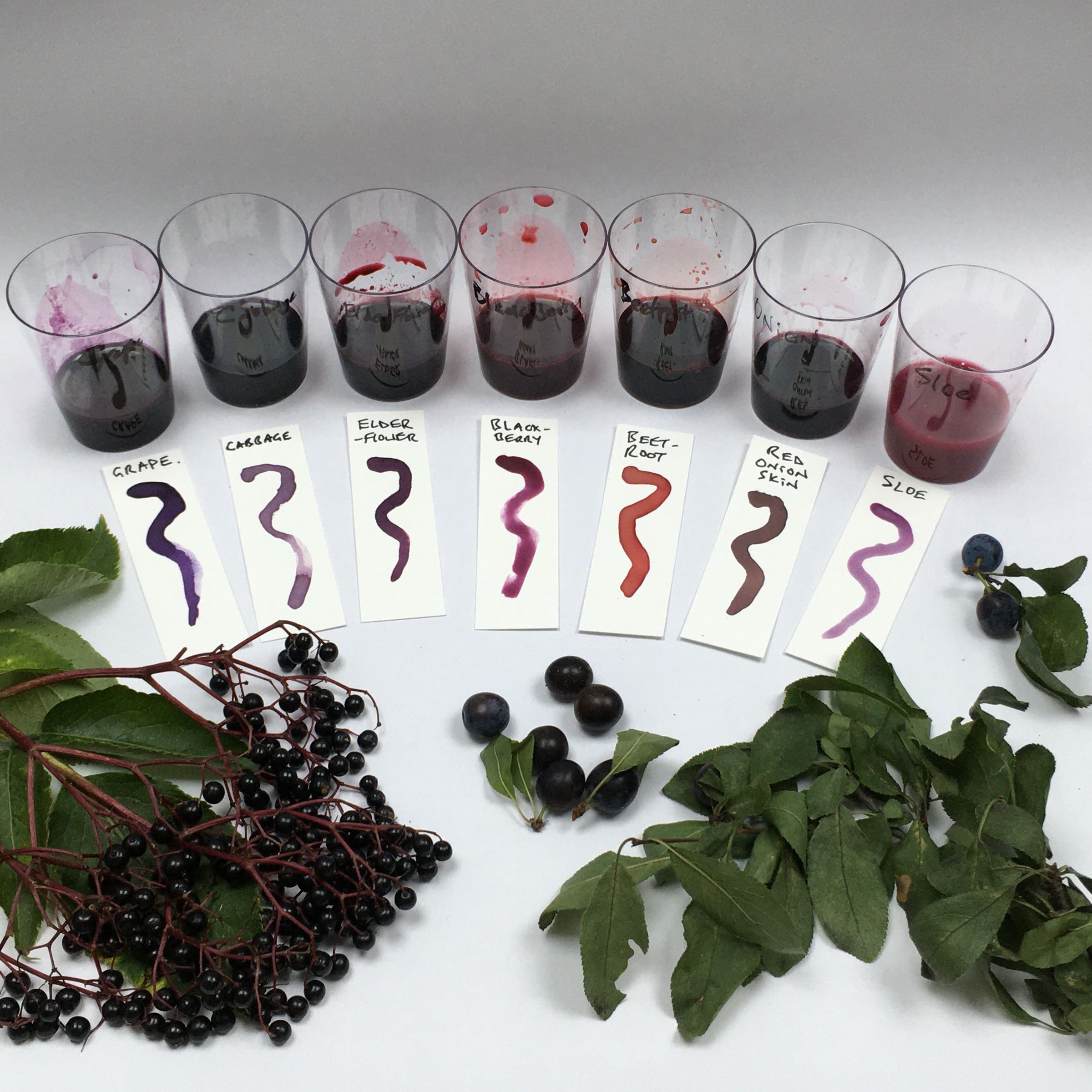 Home Made Ink From Nature: Perfect Purples : 18 Steps (with Pictures ...