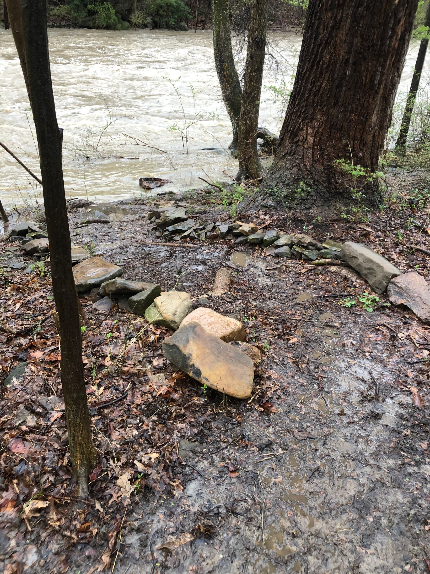Log Path Cut Into a Hill : 5 Steps (with Pictures) - Instructables