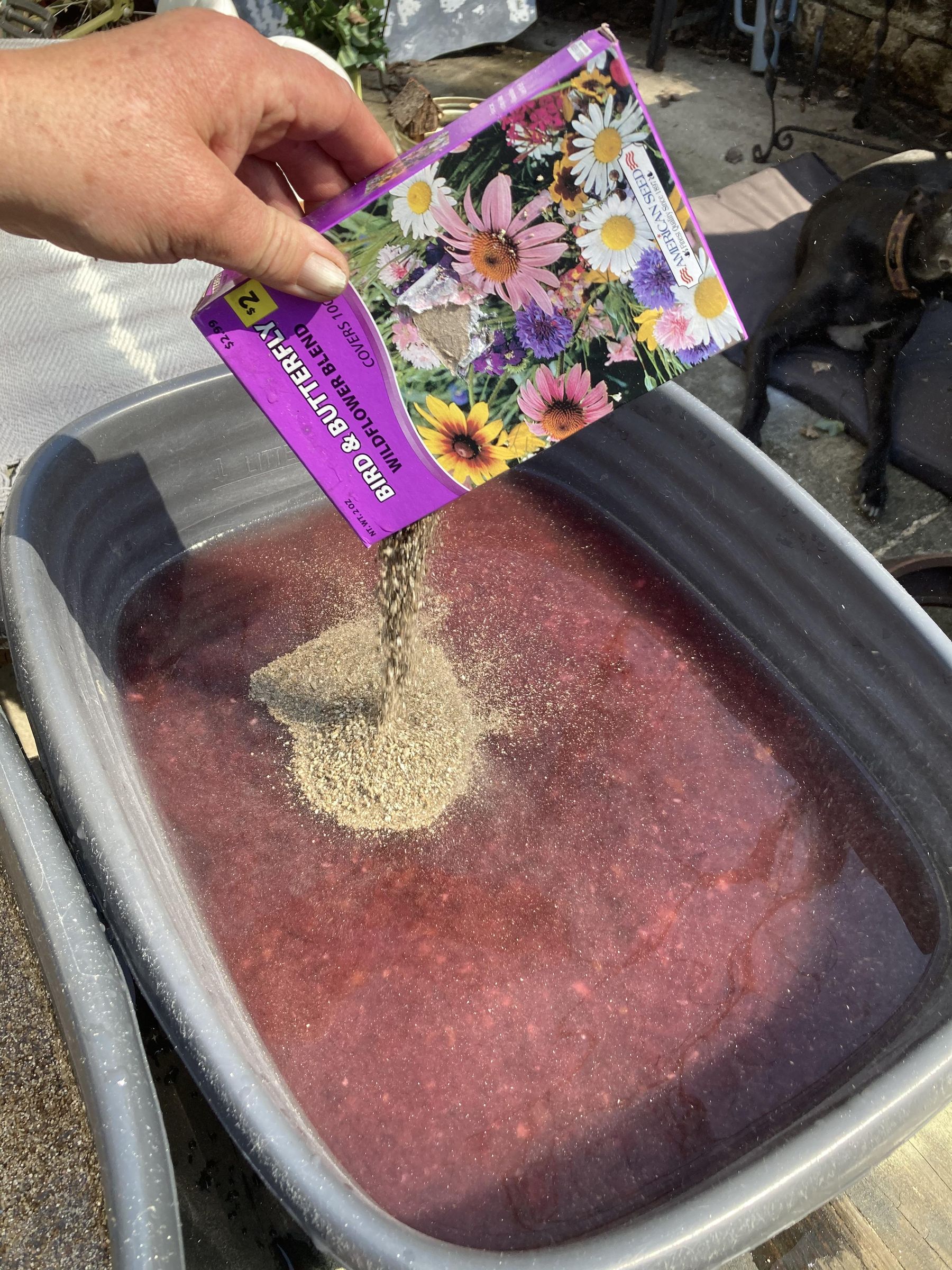 Seed Paper From Used Cardboard Boxes : 8 Steps (with Pictures ...