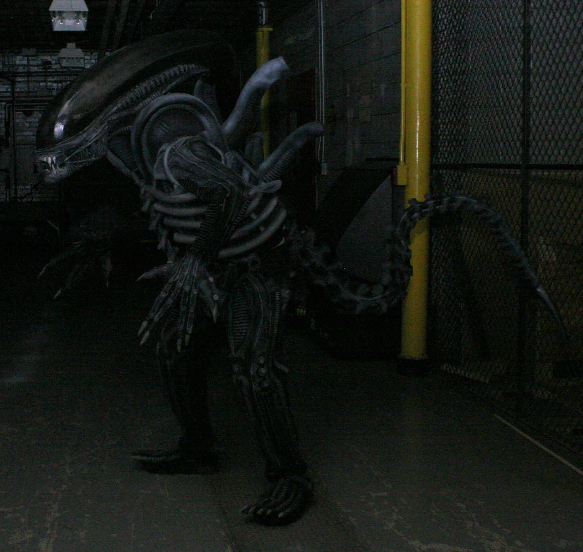 Alien Xenomorph Costume : 17 Steps (with Pictures) - Instructables