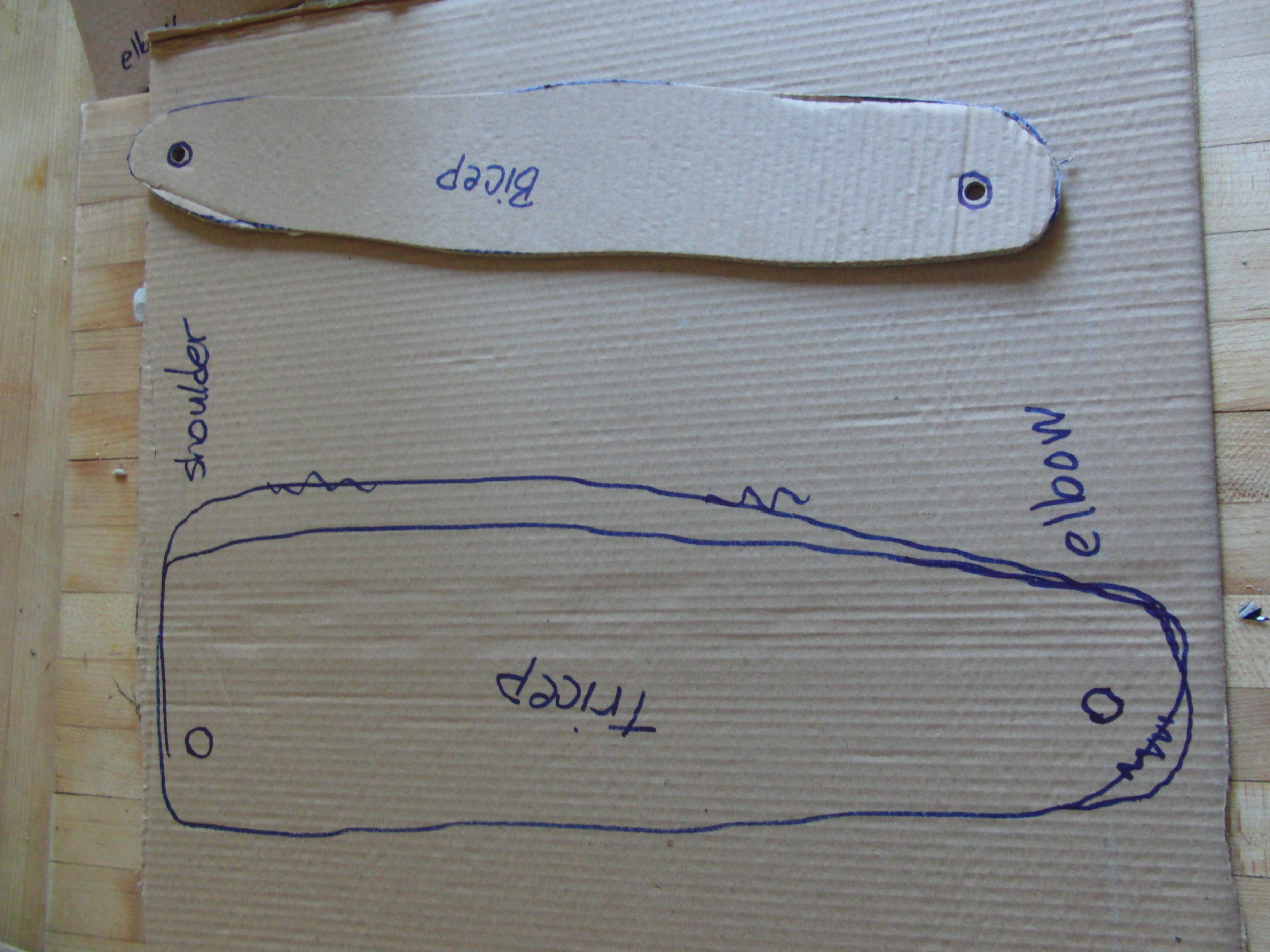 Human Arm Model : 13 Steps (with Pictures) - Instructables