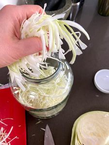 Fermented Cabbage : 9 Steps (with Pictures) - Instructables