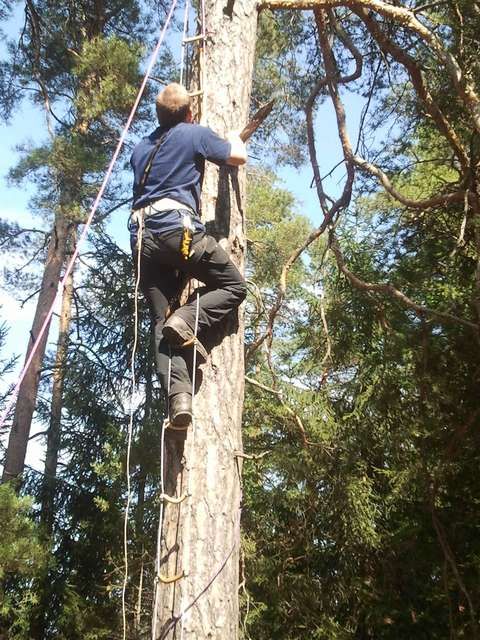 Rope Ladder : 7 Steps (with Pictures) - Instructables