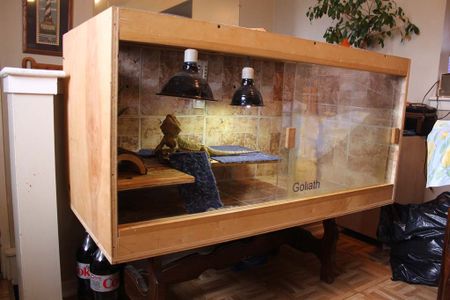 Bearded Dragon Enclosure : 5 Steps (with Pictures) - Instructables