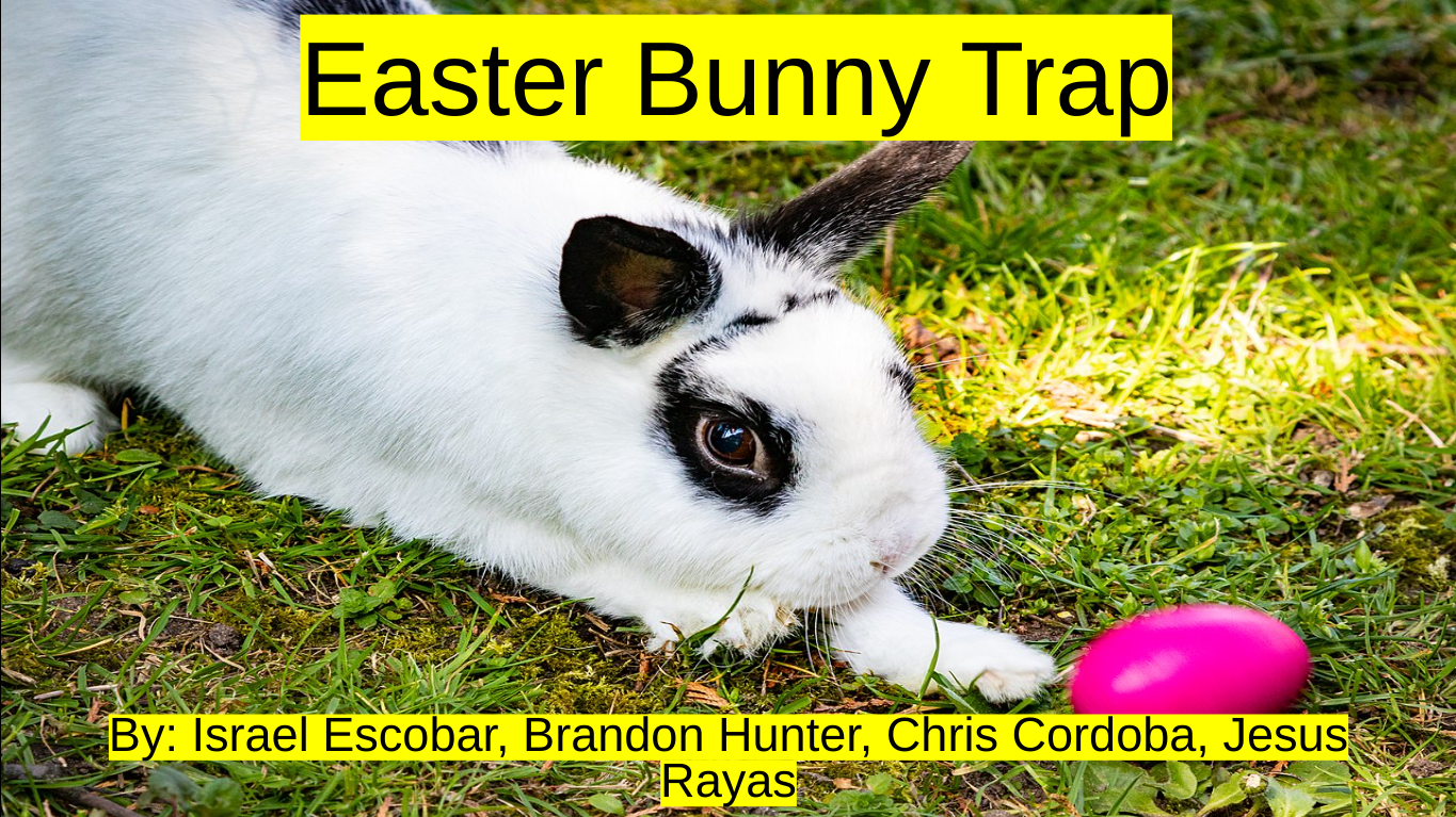 Easter Bunny Trap : 5 Steps - Instructables