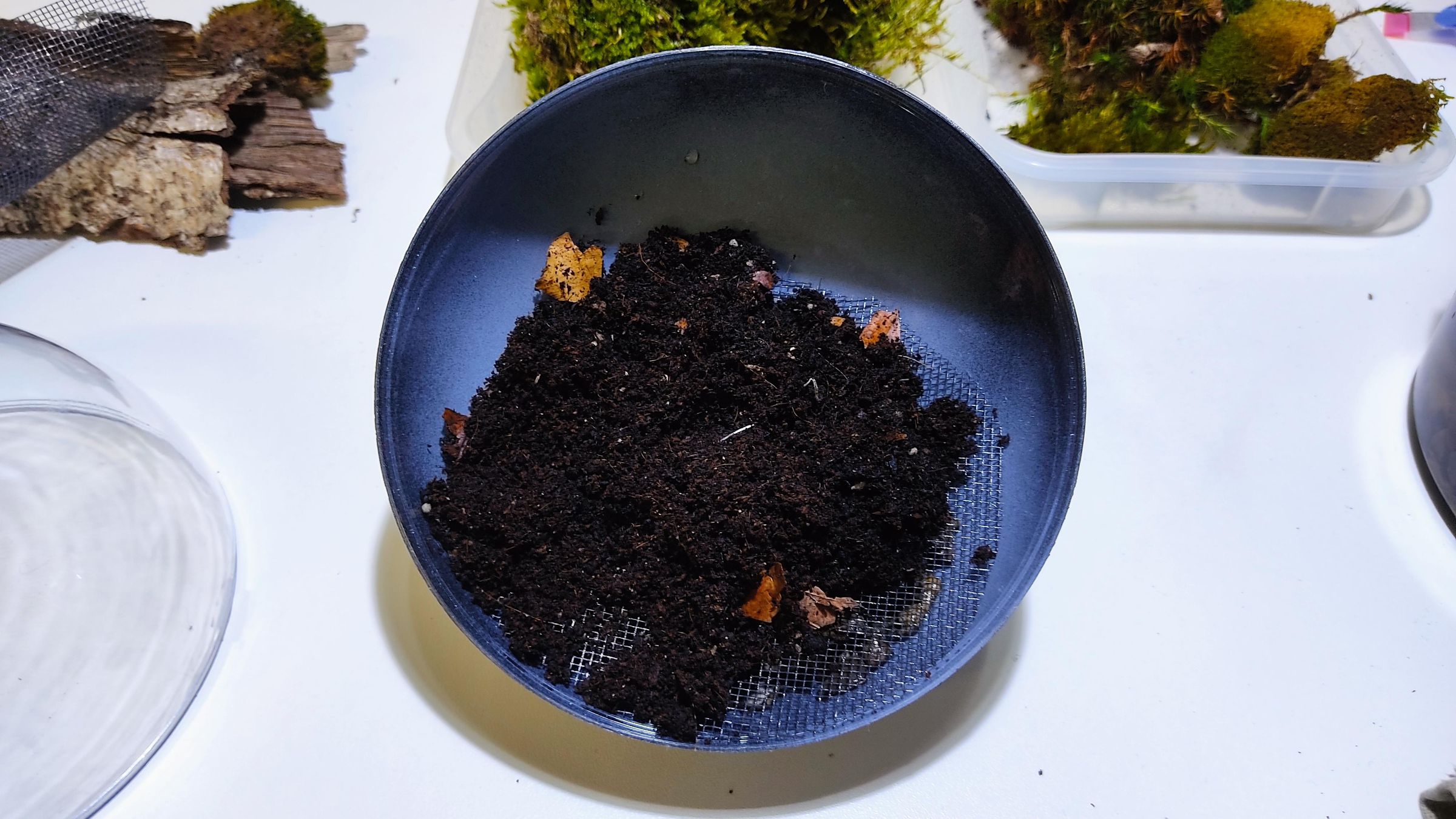 Desktop Spherical Moss Terrarium : 8 Steps (with Pictures) - Instructables