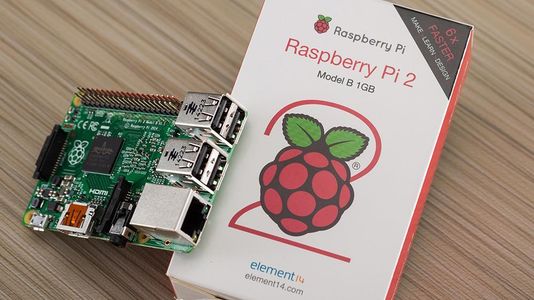 DIY Hydroponics - With Raspberry Pi : 5 Steps - Instructables
