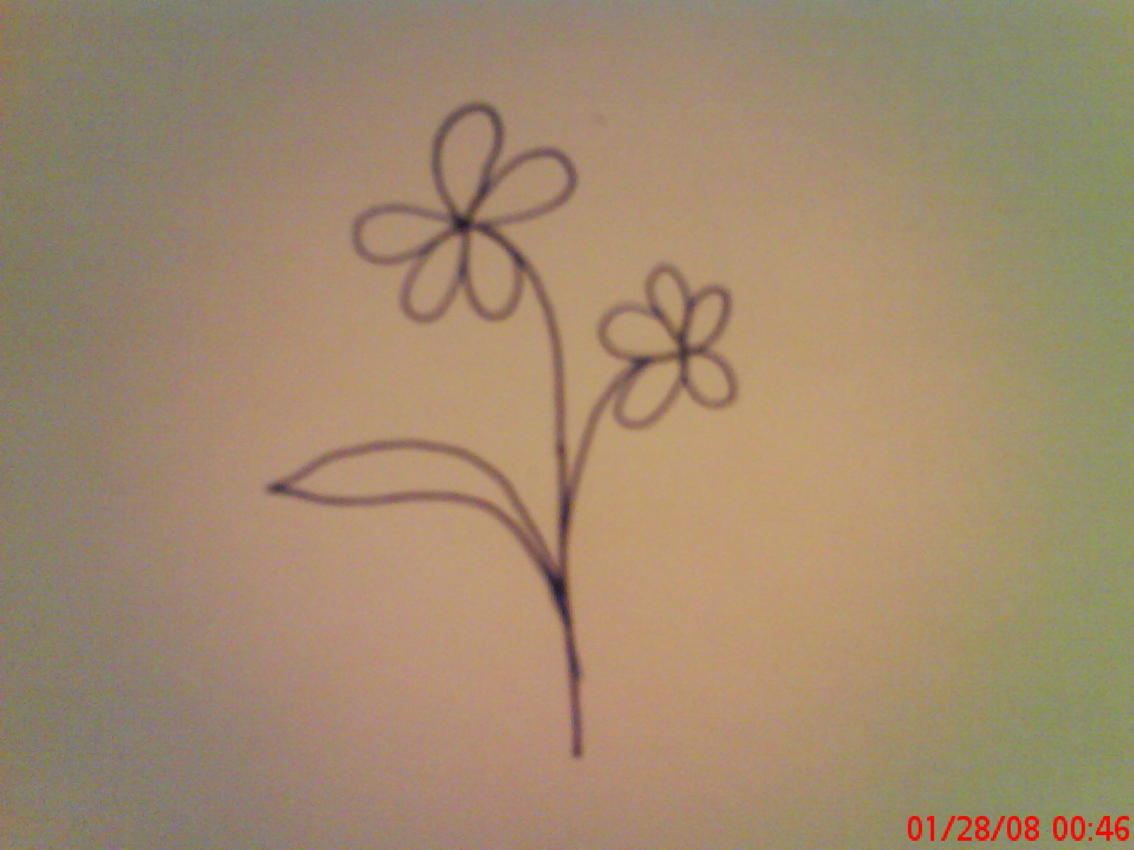 Flower Stem Drawing