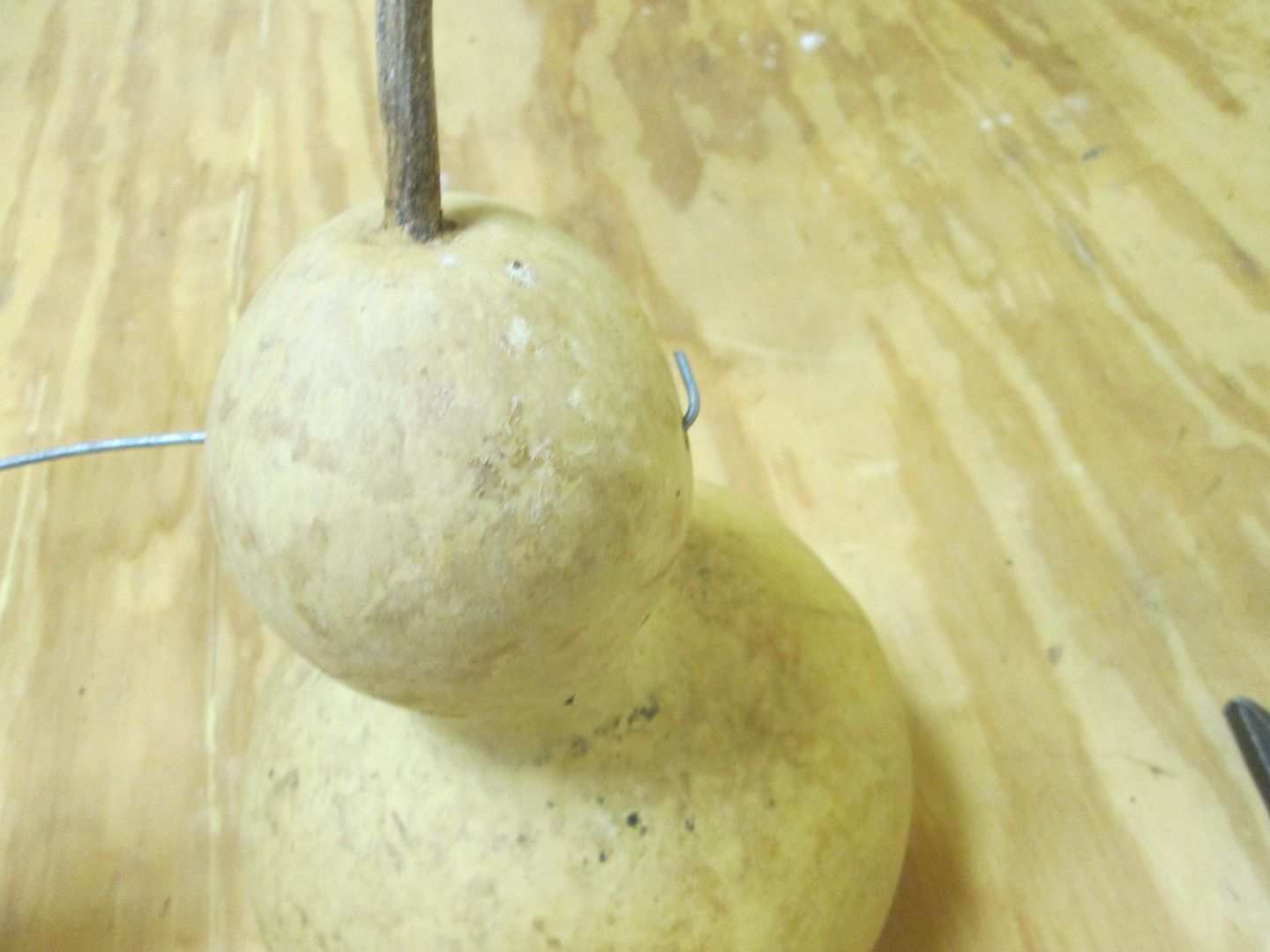 Build a Gourd Birdhouse : 8 Steps (with Pictures) - Instructables