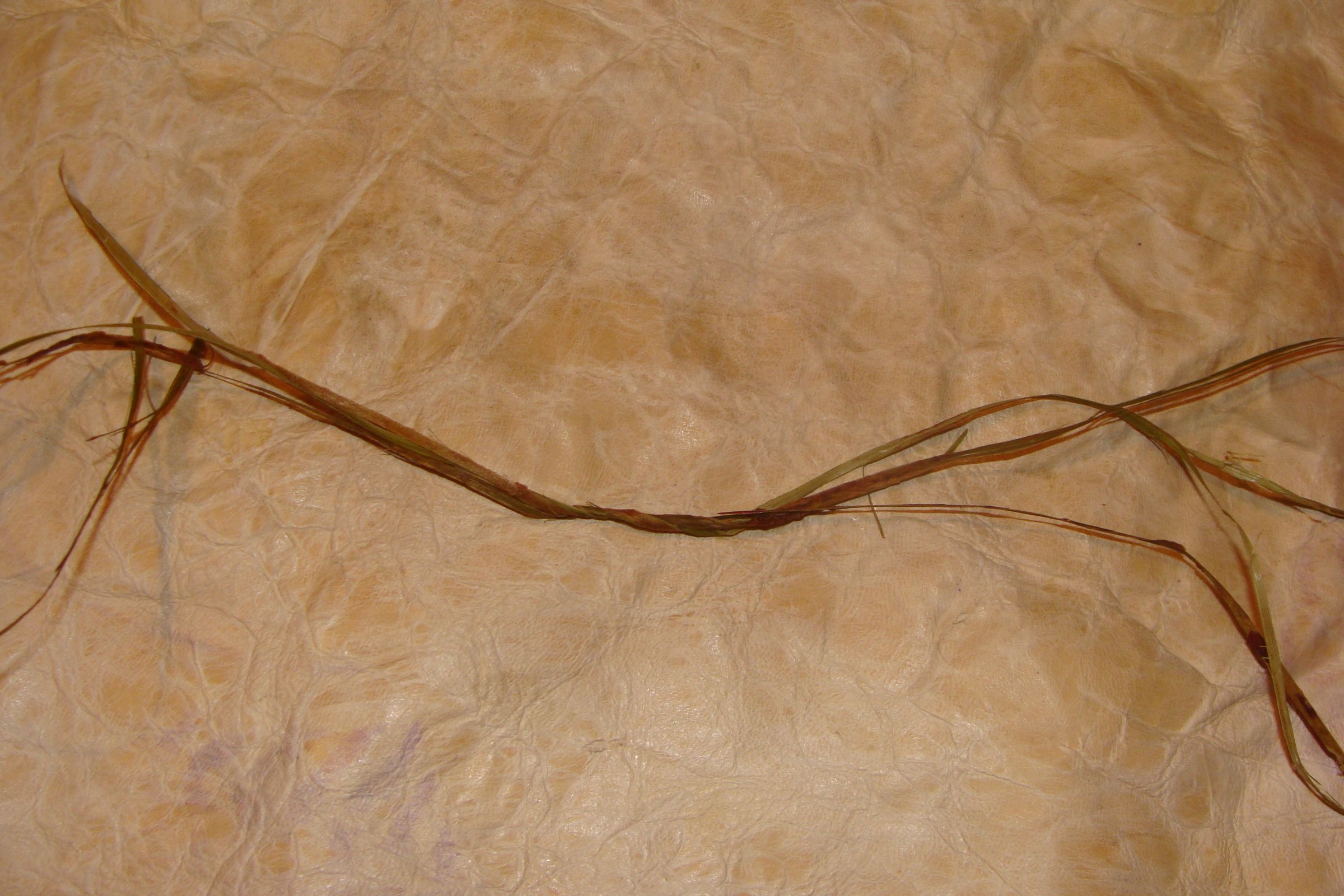 Natural Cordage : 7 Steps (with Pictures) - Instructables