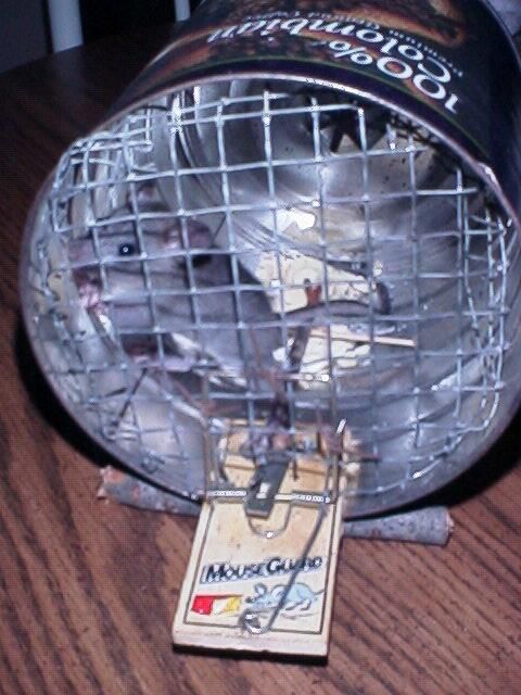 Live Catch Trap : 8 Steps - Instructables