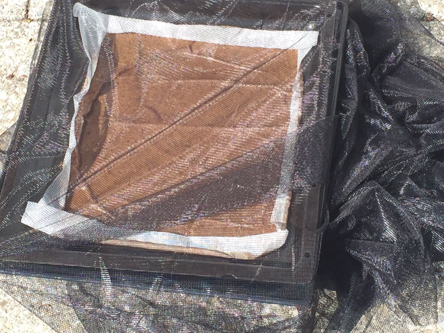 Simple Solar Dehydrator E.g. Fruit Leather or Apple Chips : 8 Steps ...