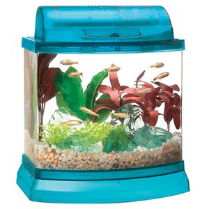 How to Properly House Betta Fish @ Home : 7 Steps - Instructables