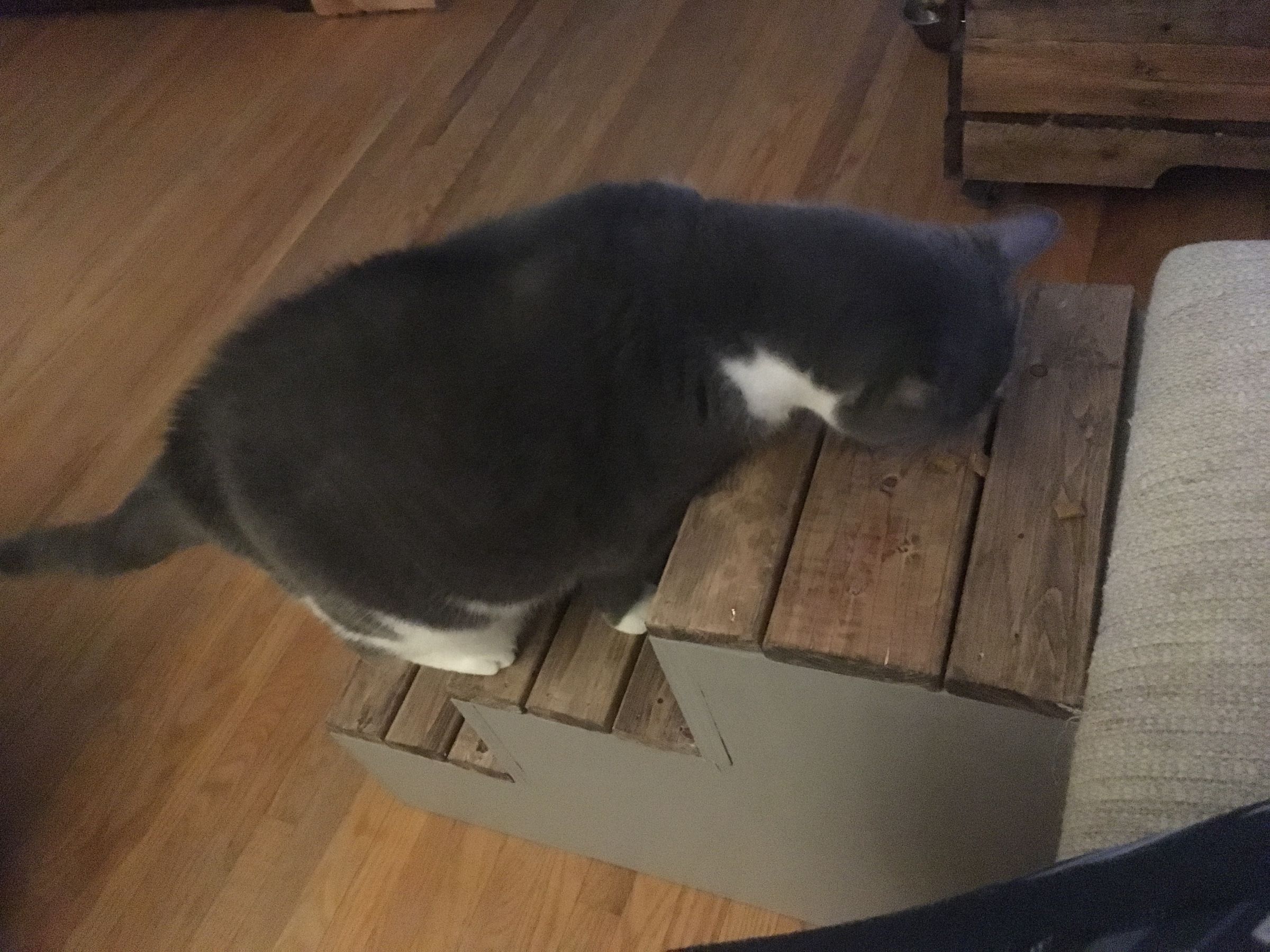 DIY Pet Stairs/steps : 6 Steps (with Pictures) - Instructables