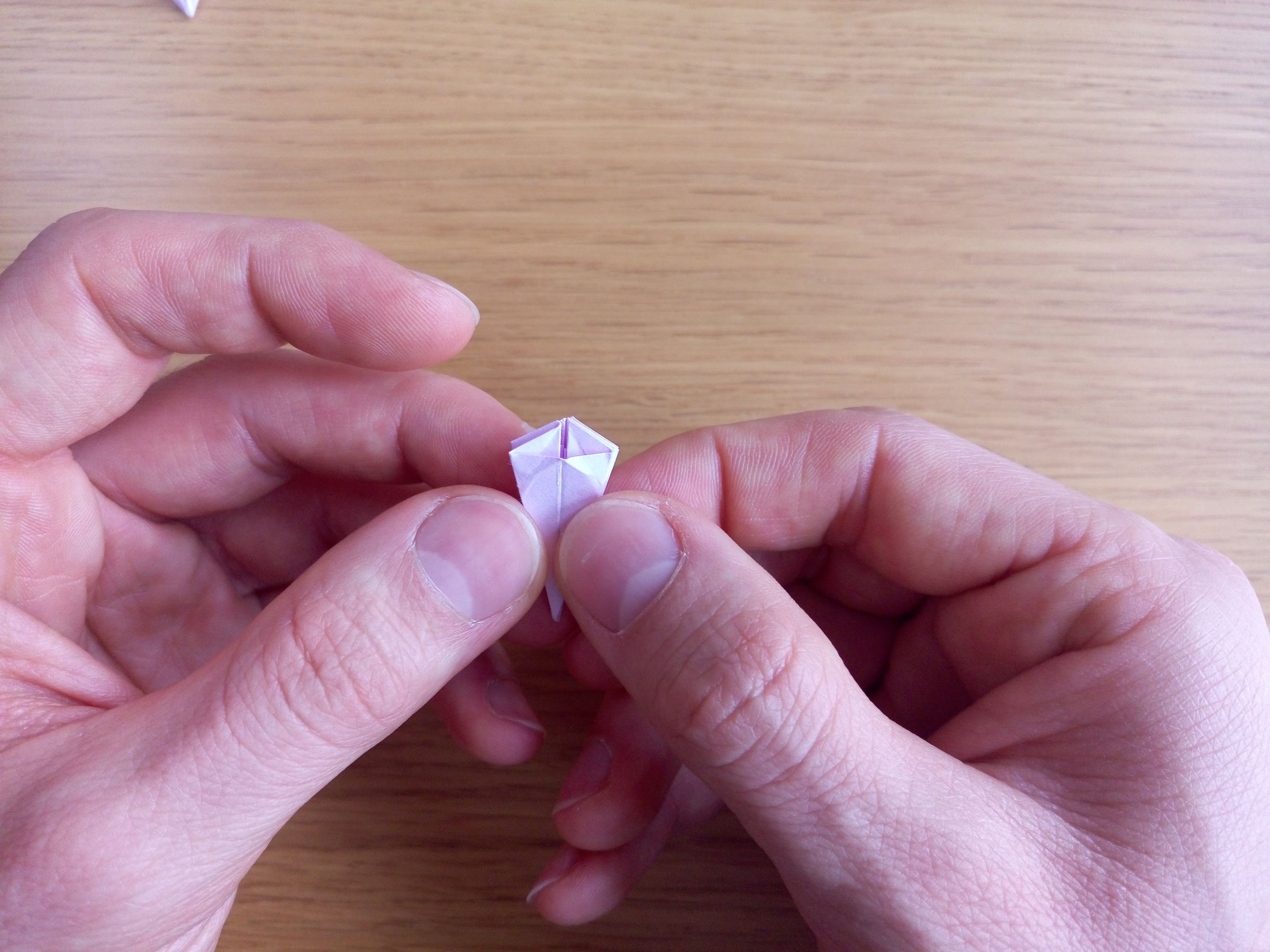 Origami Hyacinth : 9 Steps (with Pictures) - Instructables