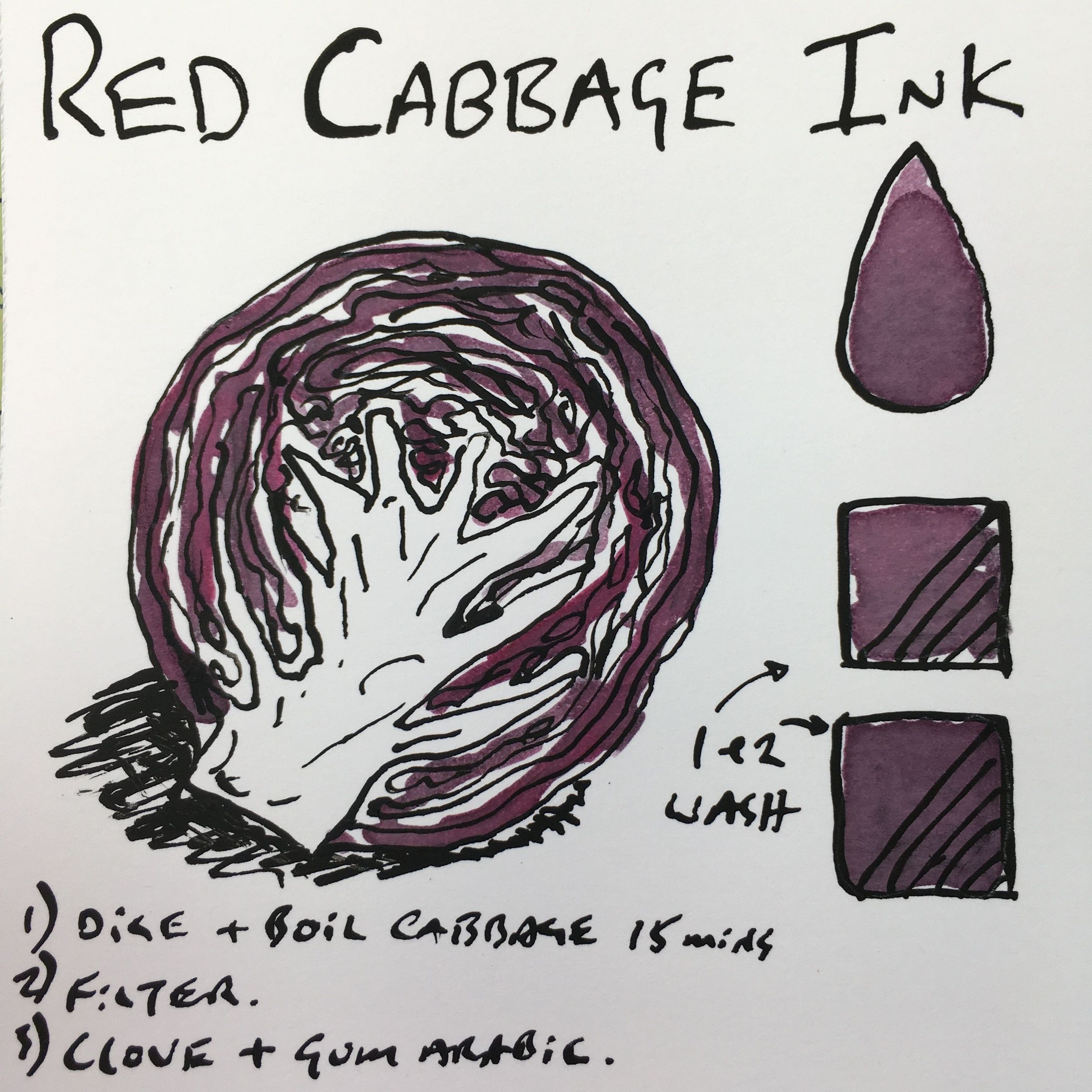 Home Made Ink From Nature: Perfect Purples : 18 Steps (with Pictures ...