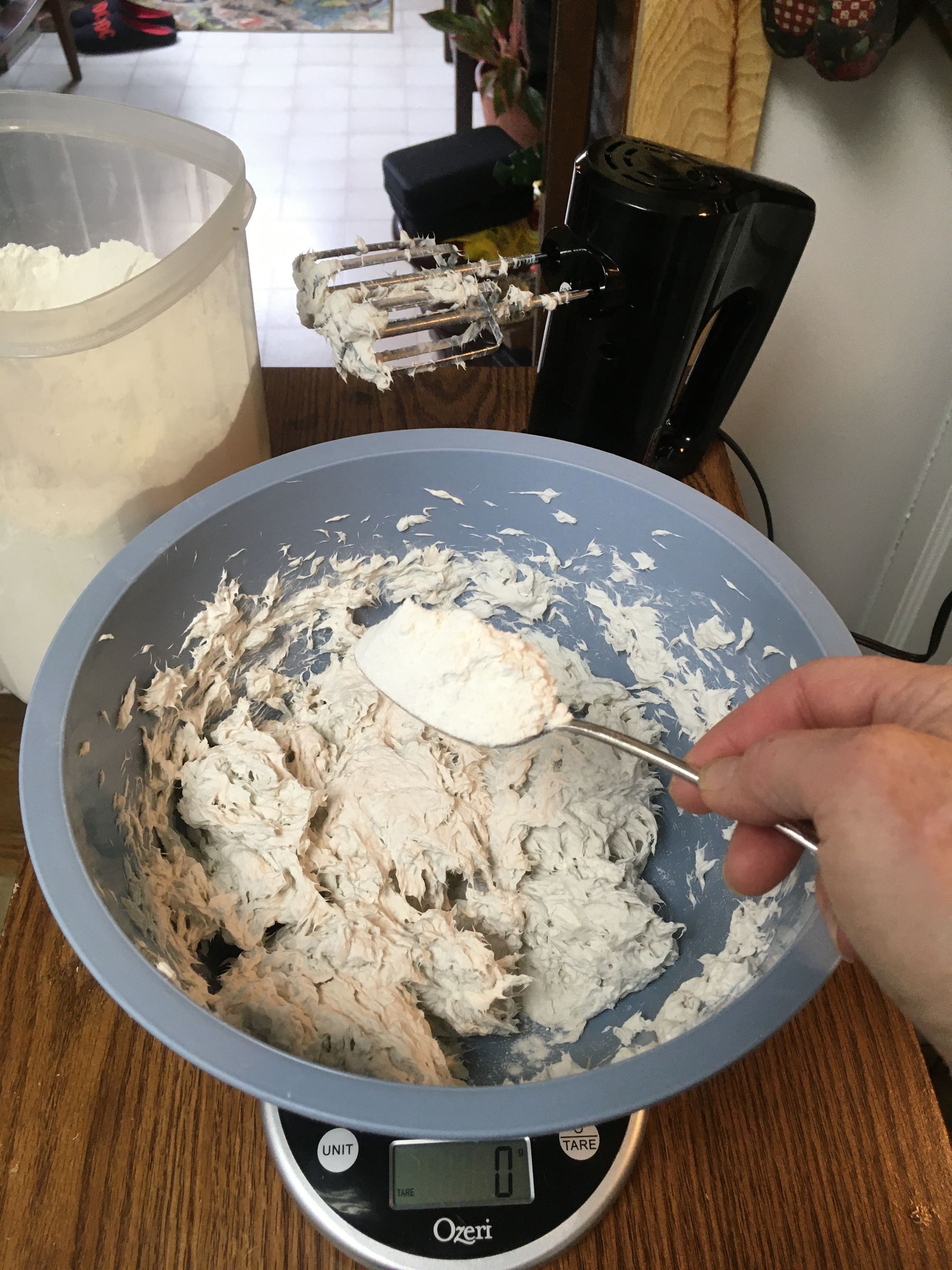 Barnacle Sculptures--and an Experiment With 2 Kinds of Homemade Paper ...