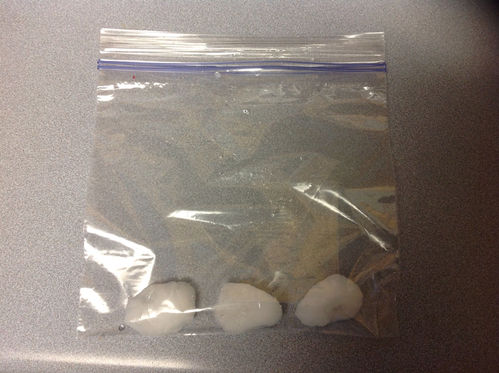 Sprouting Indoors : 5 Steps (with Pictures) - Instructables