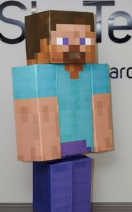Minecraft Steve Cardboard Box Costume DIY : 12 Steps - Instructables