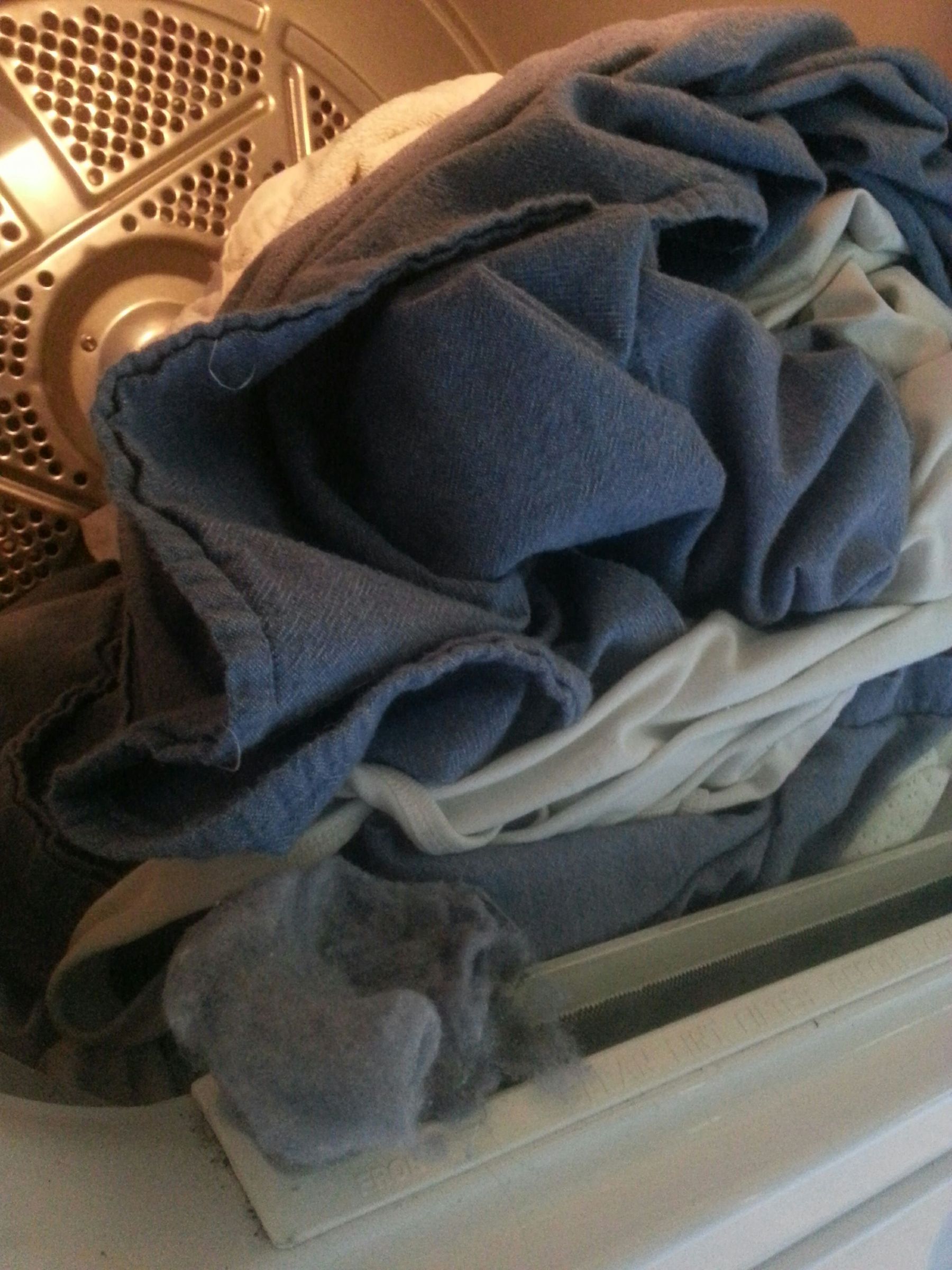 Dryer Lint Fire Starter : 3 Steps (with Pictures) - Instructables