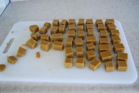 Gel Fish Food : 10 Steps (with Pictures) - Instructables
