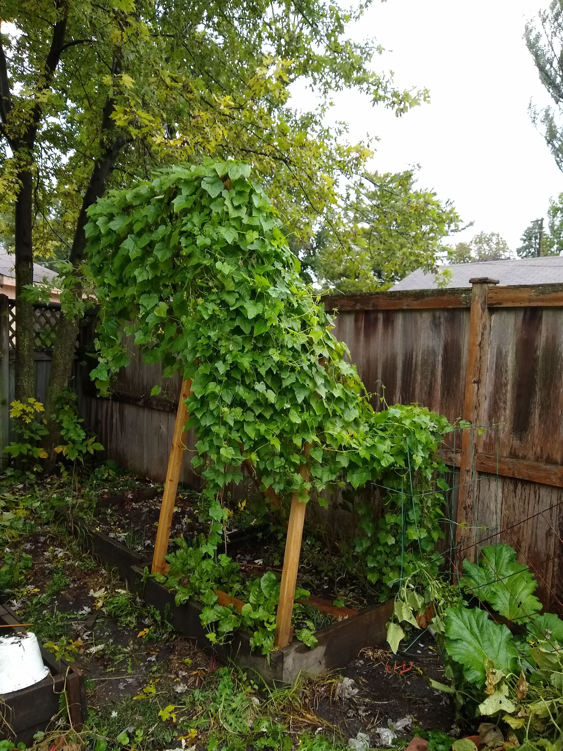 My Best Vegetable Trellis: Durable, Collapsible, Flexible : 8 Steps ...