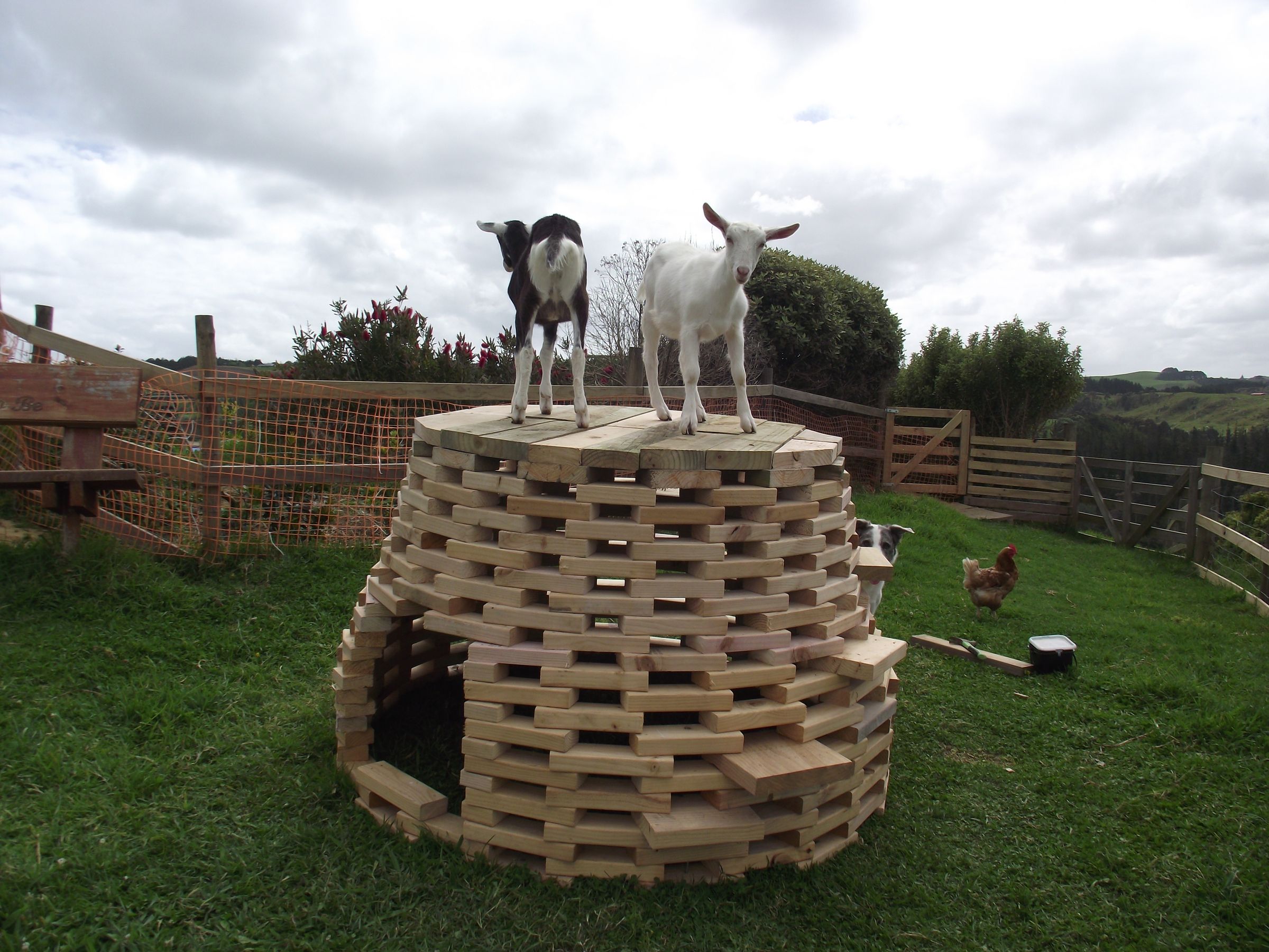 A Post Apocalypse, Post Global Warming Igloo OR the Playhive - a ...