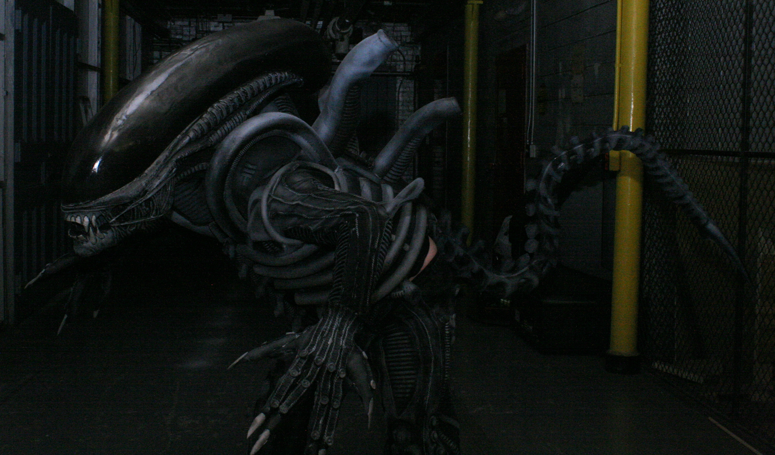 Alien Xenomorph Costume : 17 Steps (with Pictures) - Instructables