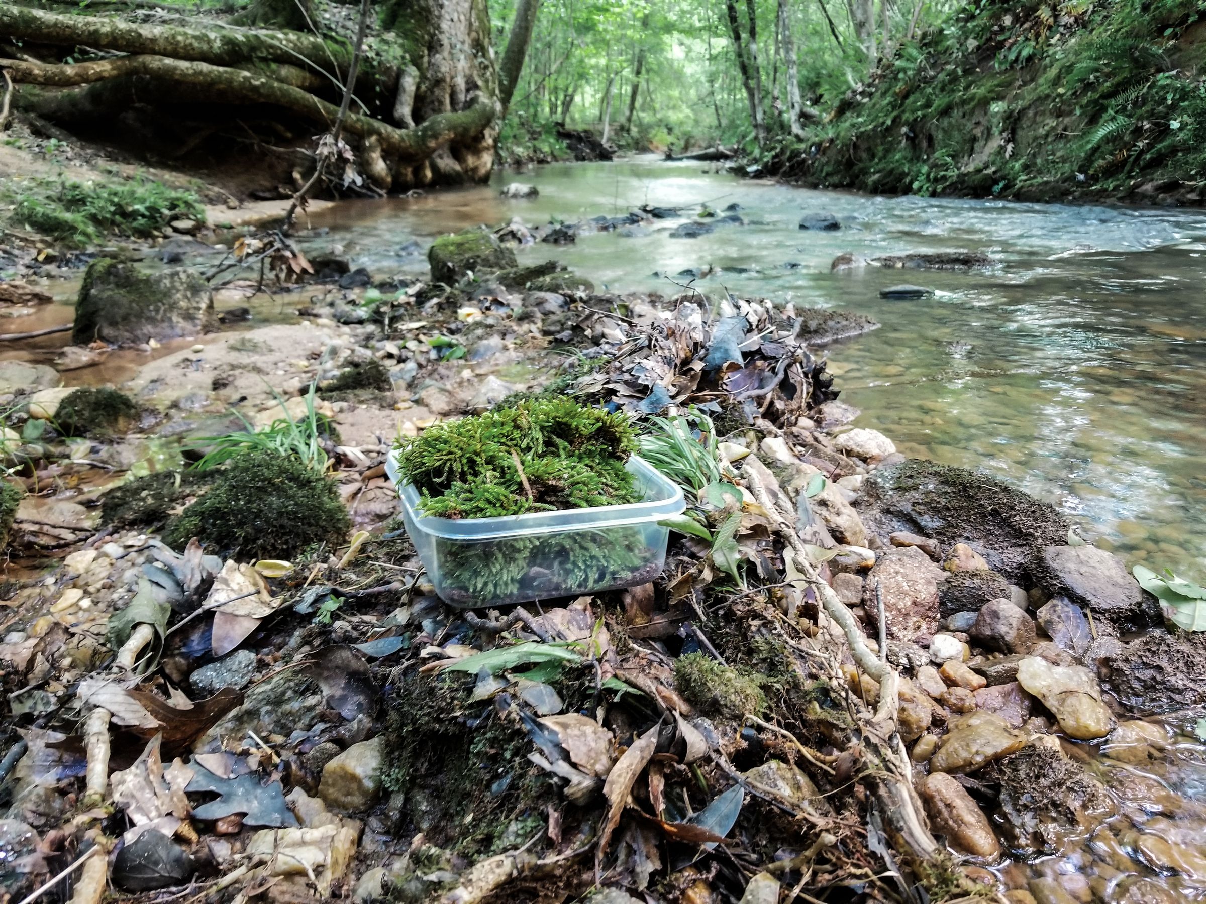 Indoor Moss Microbial Fuel Cell : 5 Steps (with Pictures) - Instructables
