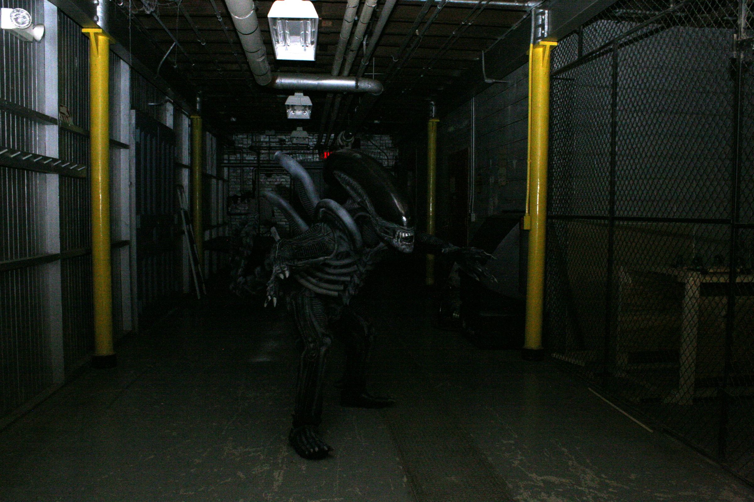 Alien Xenomorph Costume : 17 Steps (with Pictures) - Instructables