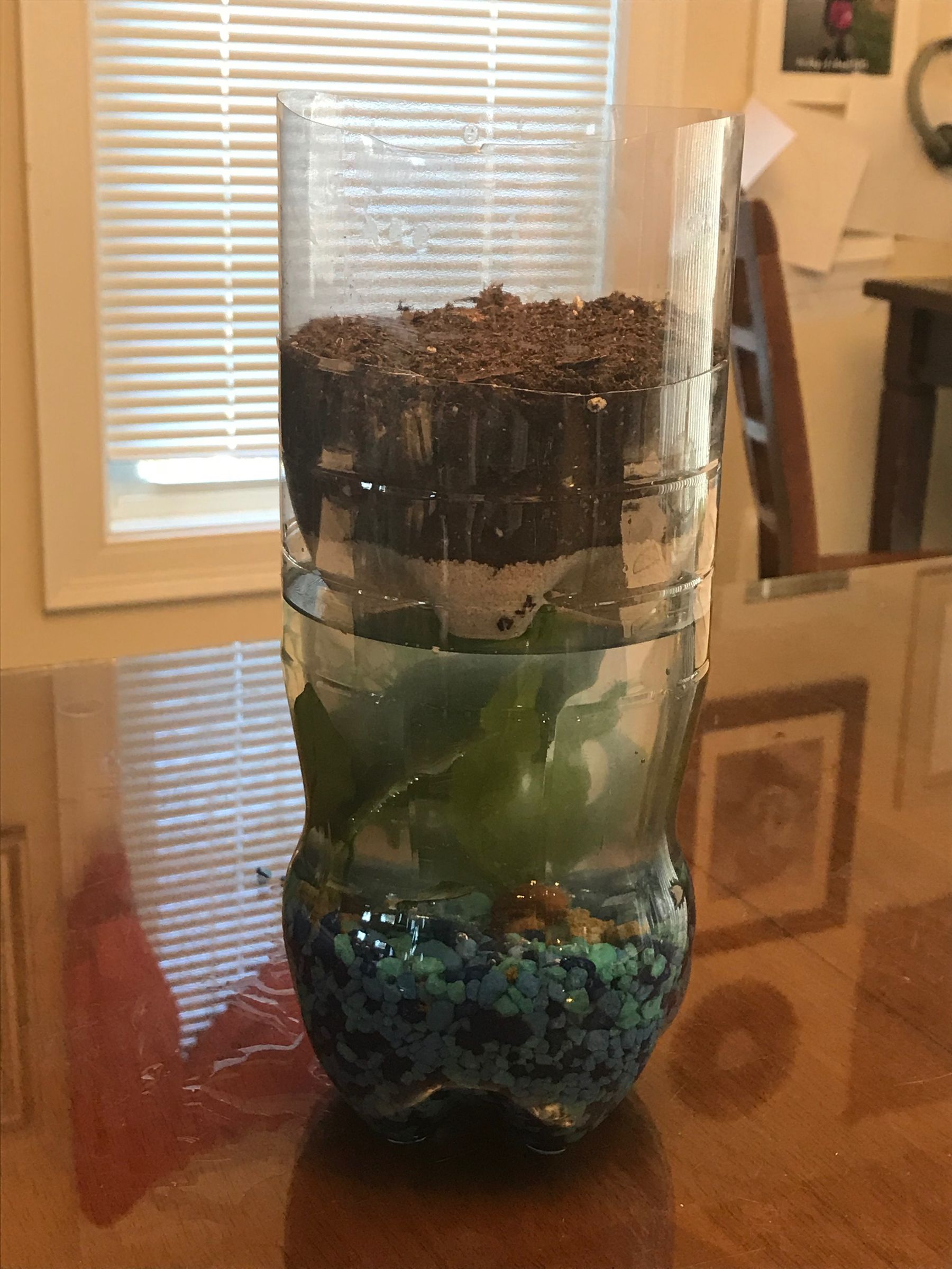 Ecosystem in a Bottle : 11 Steps (with Pictures) - Instructables