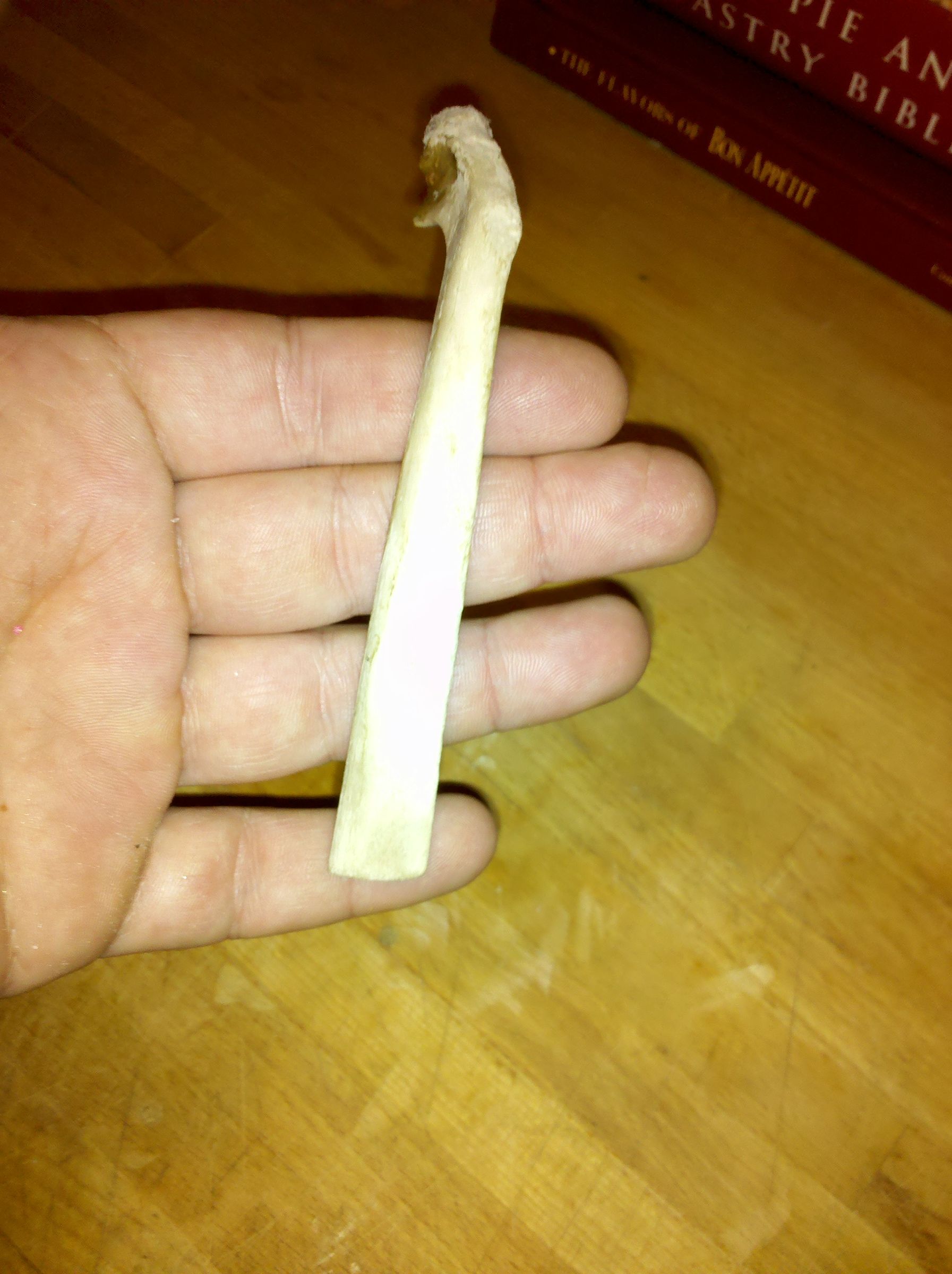 Carve a Bone Needle for Naalbinding : 6 Steps - Instructables