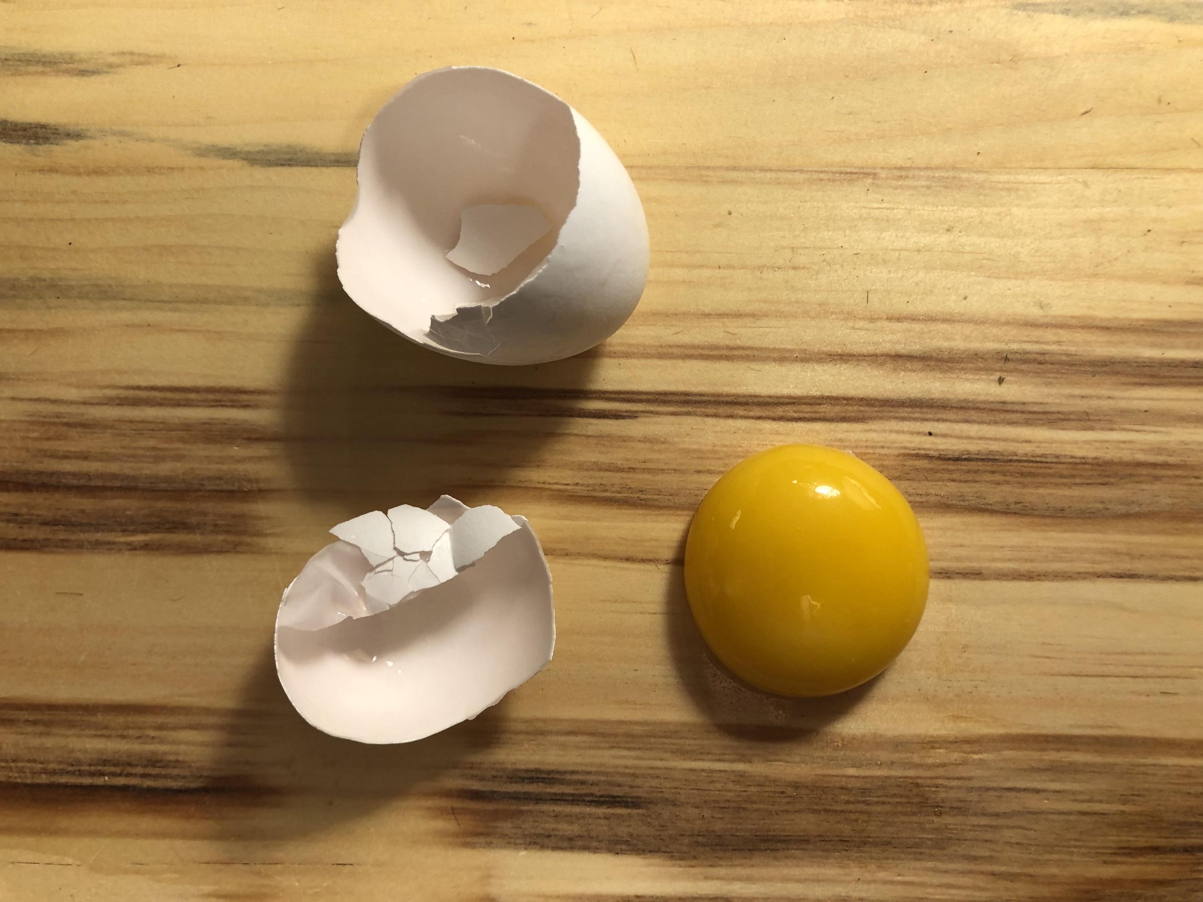 Egg Tempera: Medieval Egg Paint : 8 Steps (with Pictures) - Instructables