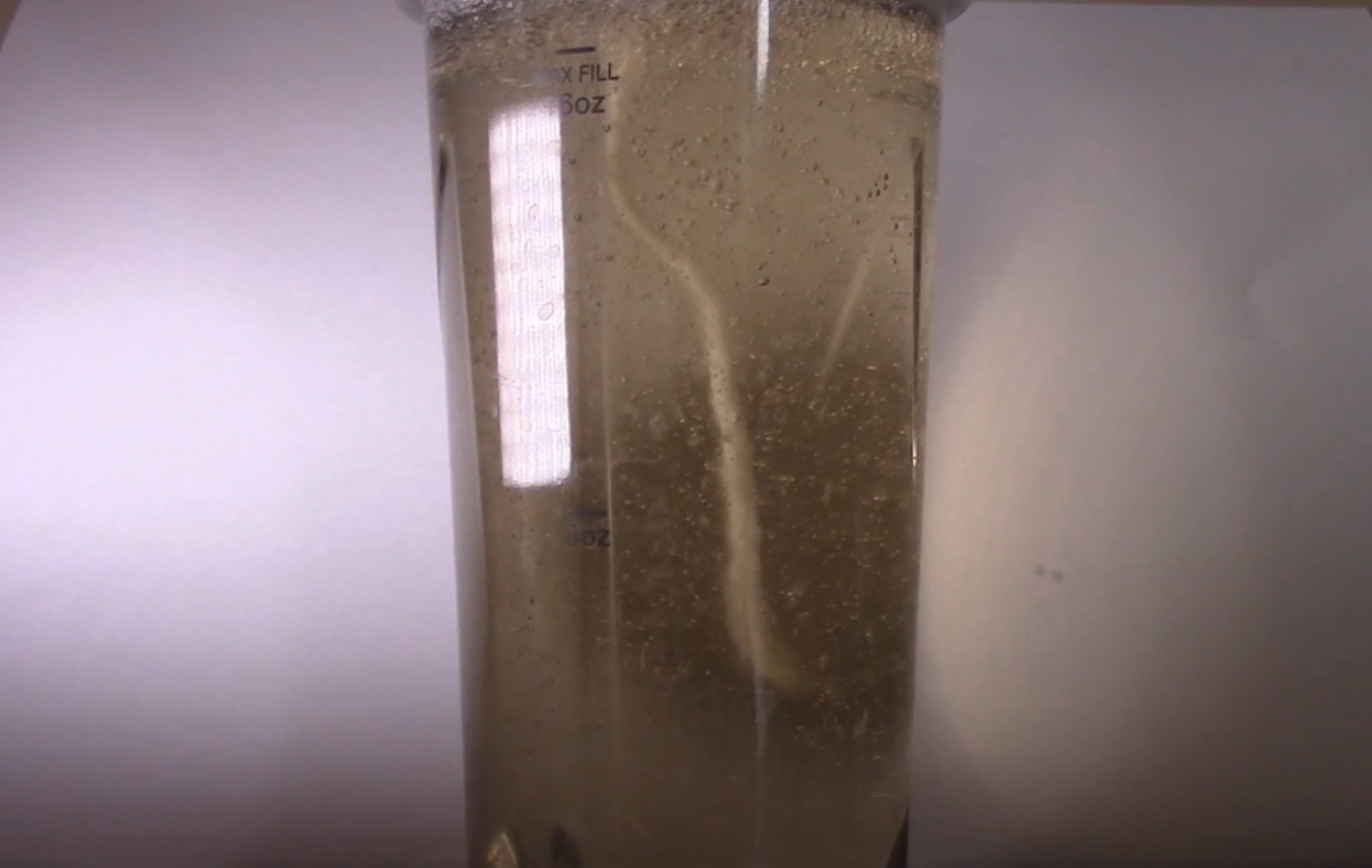 Growing Rock Candy in Only a Few Hours!! : 8 Steps (with Pictures ...