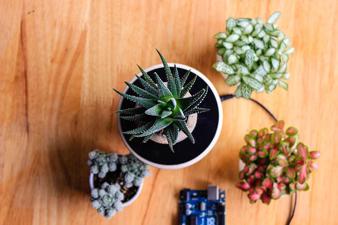 Arduino Air Bonsai Levitation : 22 Steps (with Pictures) - Instructables