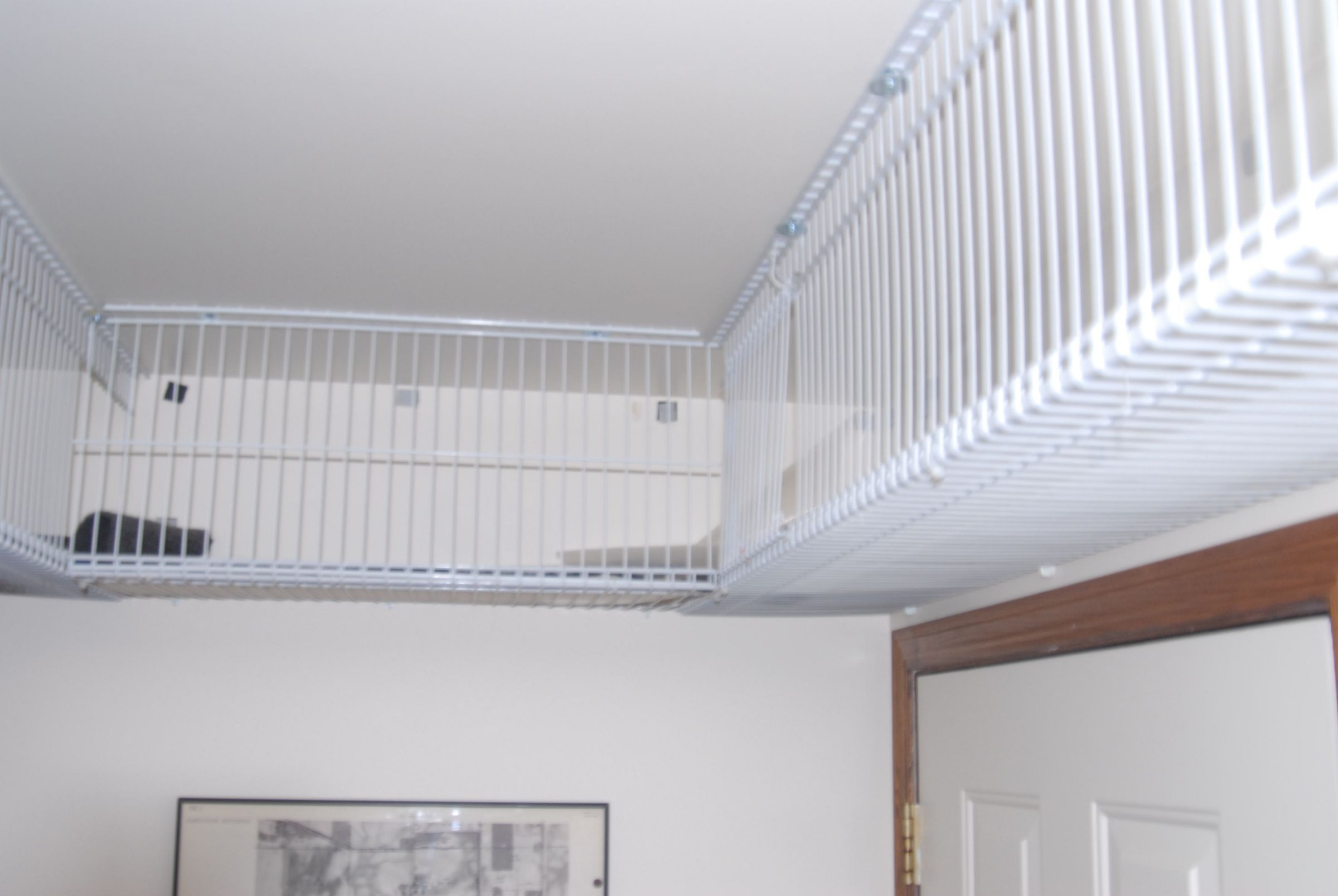 Cat Enclosure - Tunnel, Save Space ('CatWalk Is My Road' - AKahn ...