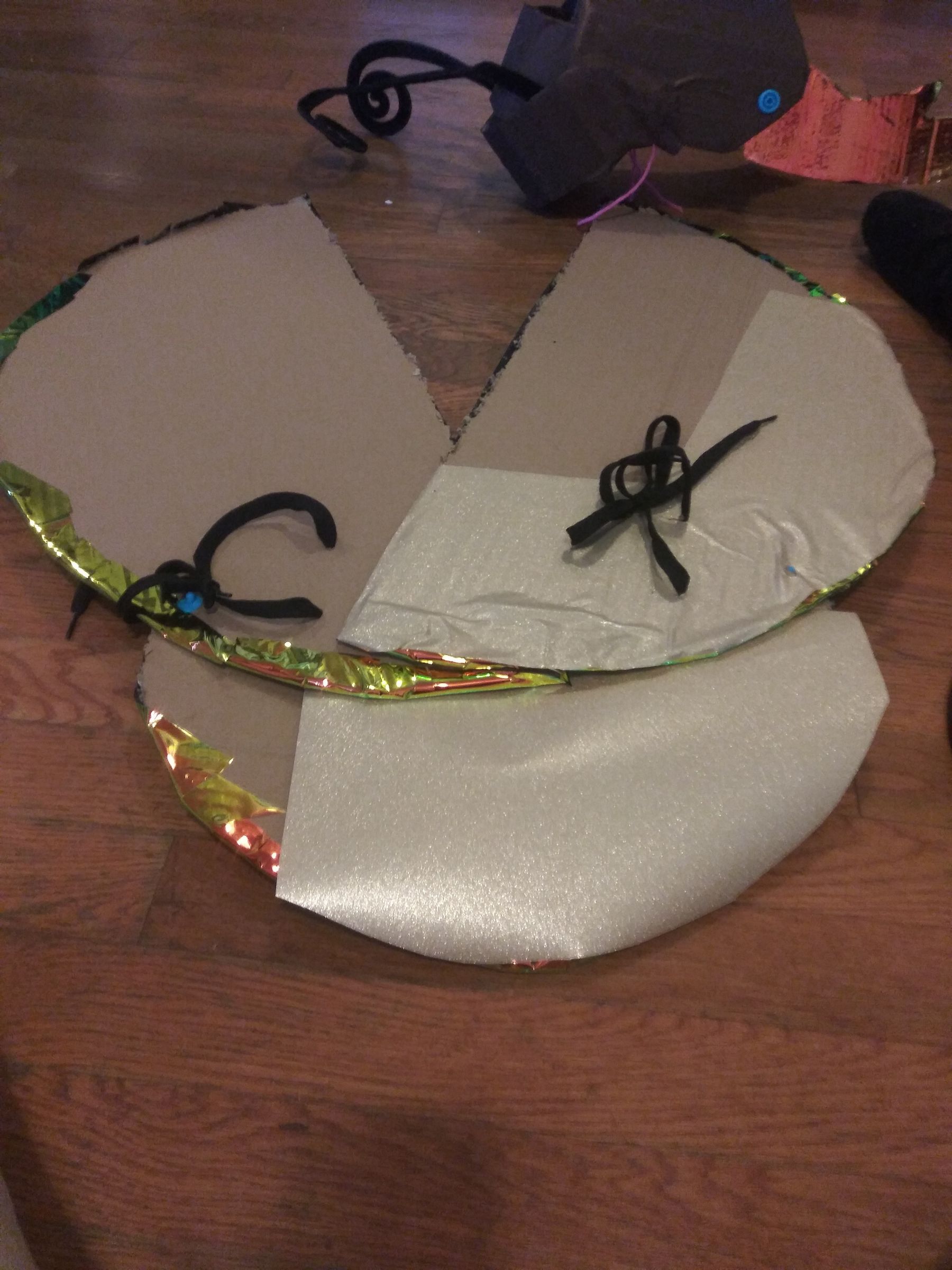 Cardboard Beetle Costume : 4 Steps (with Pictures) - Instructables