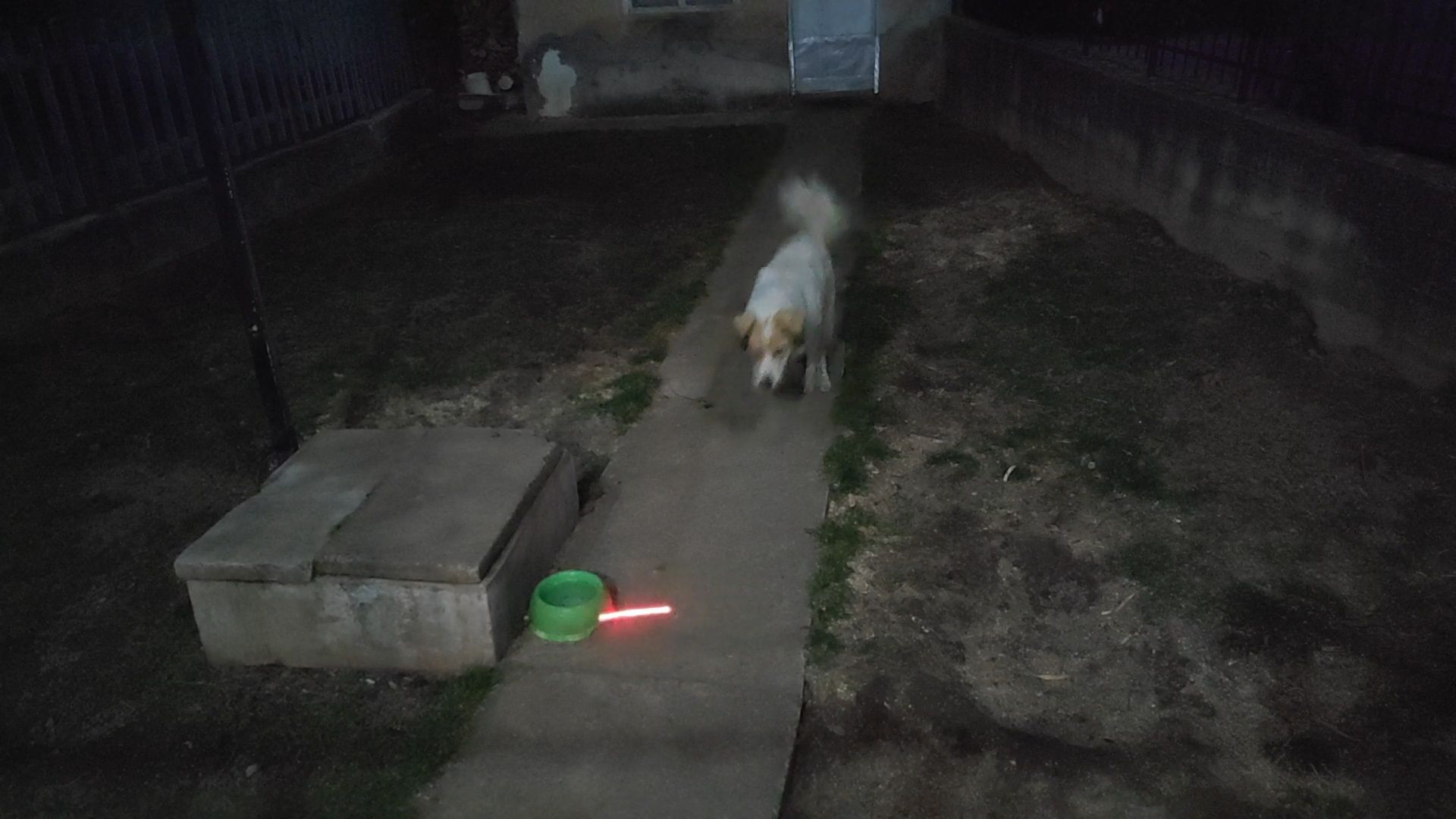 Arduino Controlled Laser Dog Chaser Toy : 6 Steps - Instructables