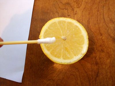 5 Great Lemon Tricks : 5 Steps (with Pictures) - Instructables