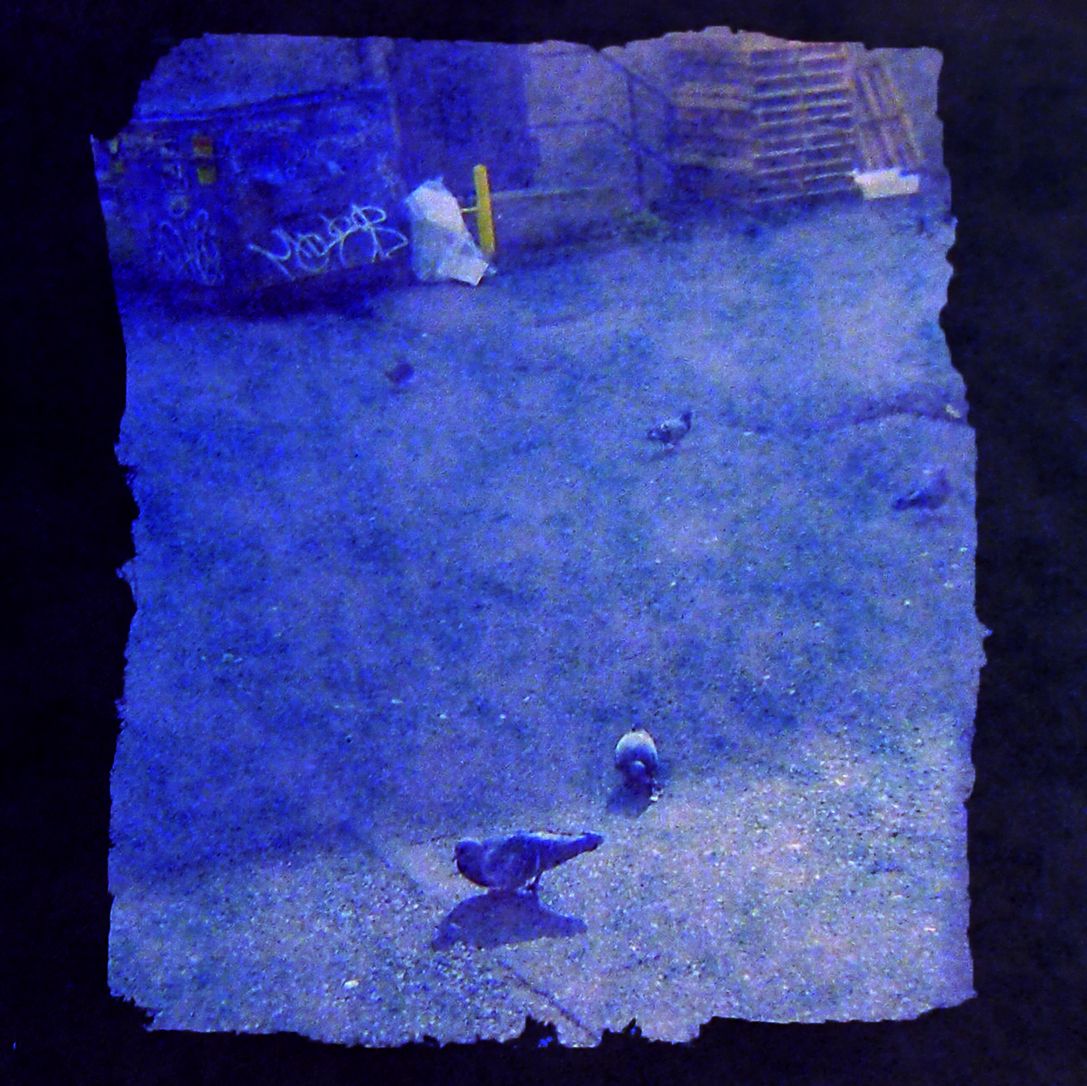 Custom Film Photography Borders : 3 Steps (with Pictures) - Instructables