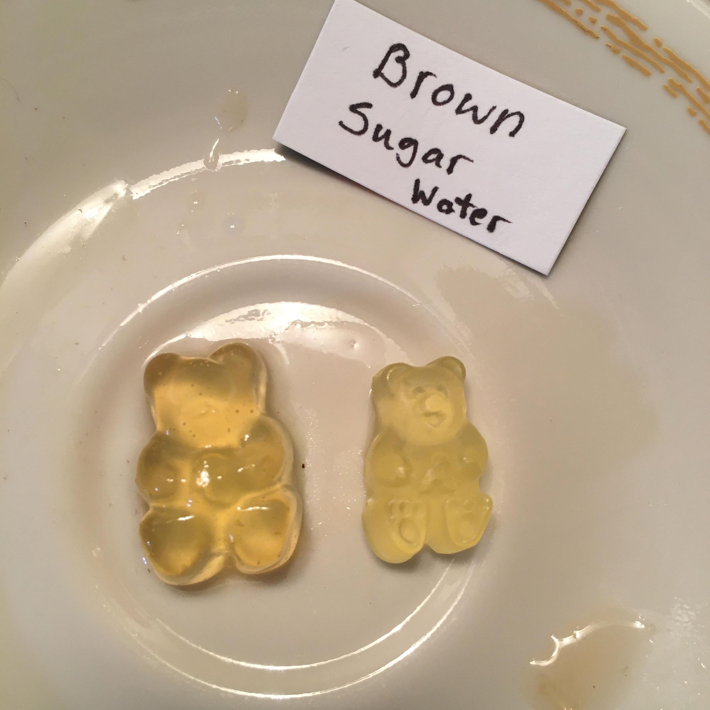 Gummi Bear Science : 7 Steps (with Pictures) - Instructables