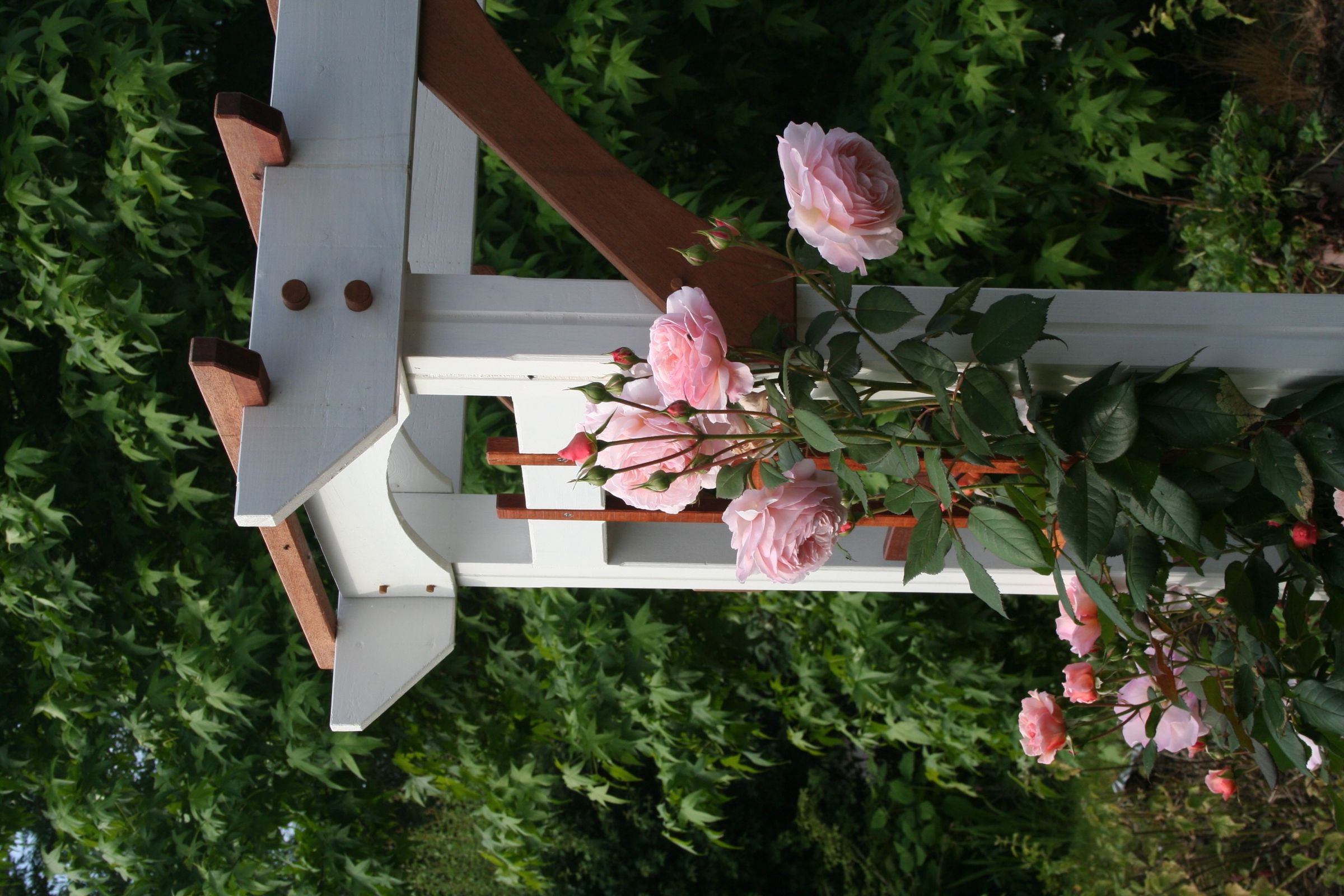Garden Rose Arbour : 12 Steps (with Pictures) - Instructables