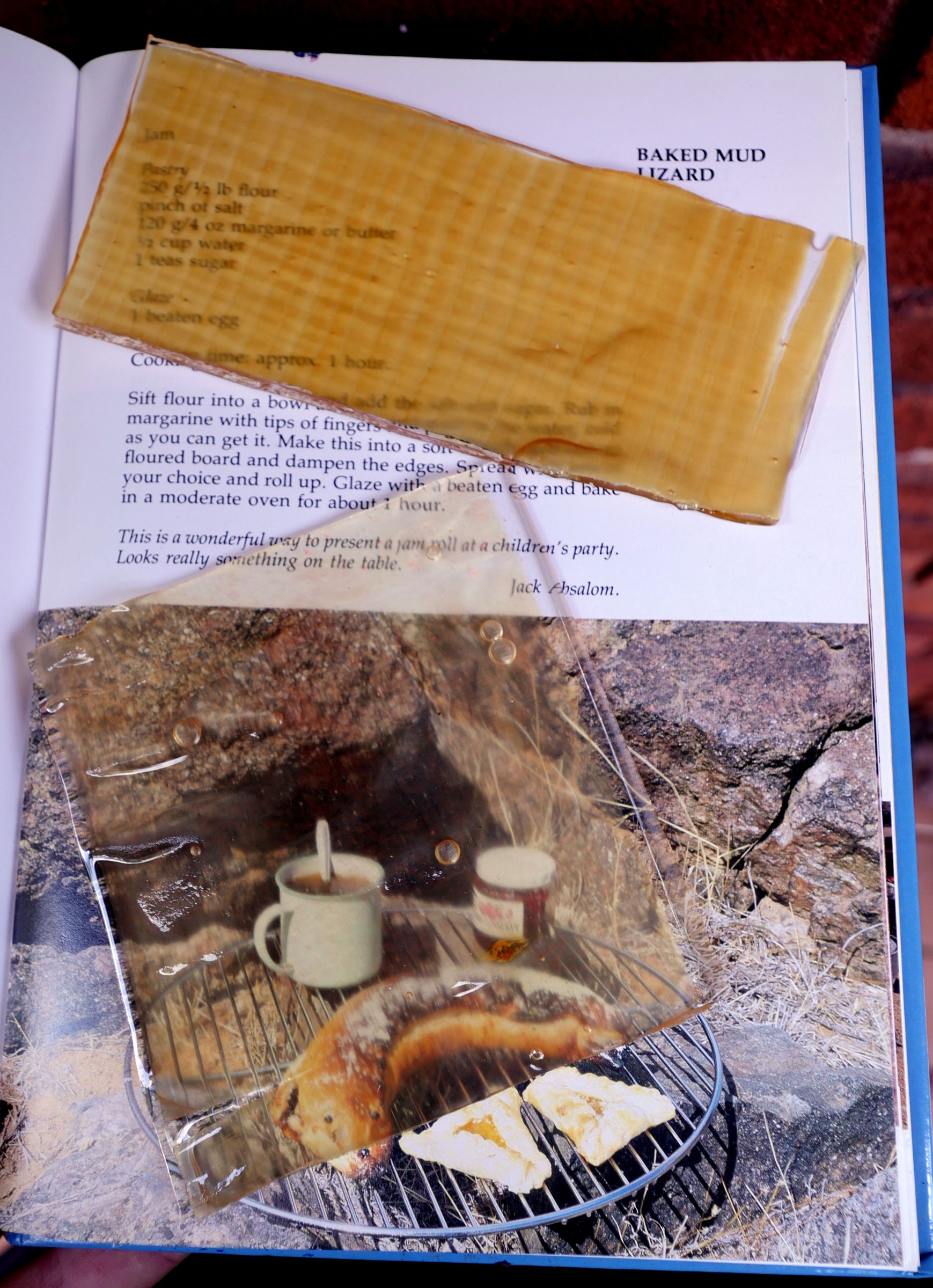 Transparent Wood : 10 Steps (with Pictures) - Instructables