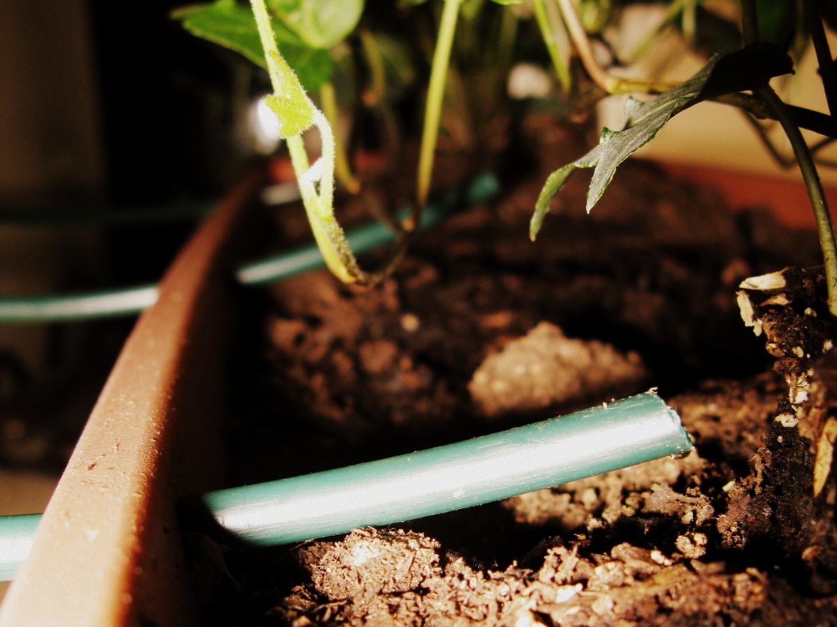 Automatic Plant Watering System : 4 Steps - Instructables