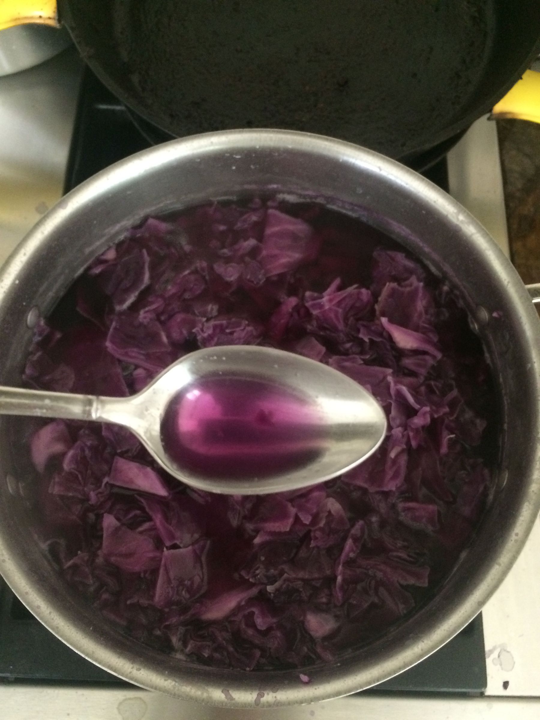 All-Natural Cabbage Dye : 8 Steps (with Pictures) - Instructables