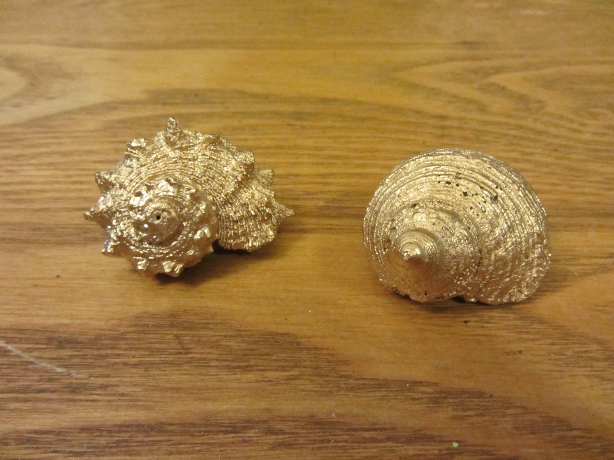 DIY Ursula Shell Necklace (The Little Mermaid) : 5 Steps (with Pictures ...